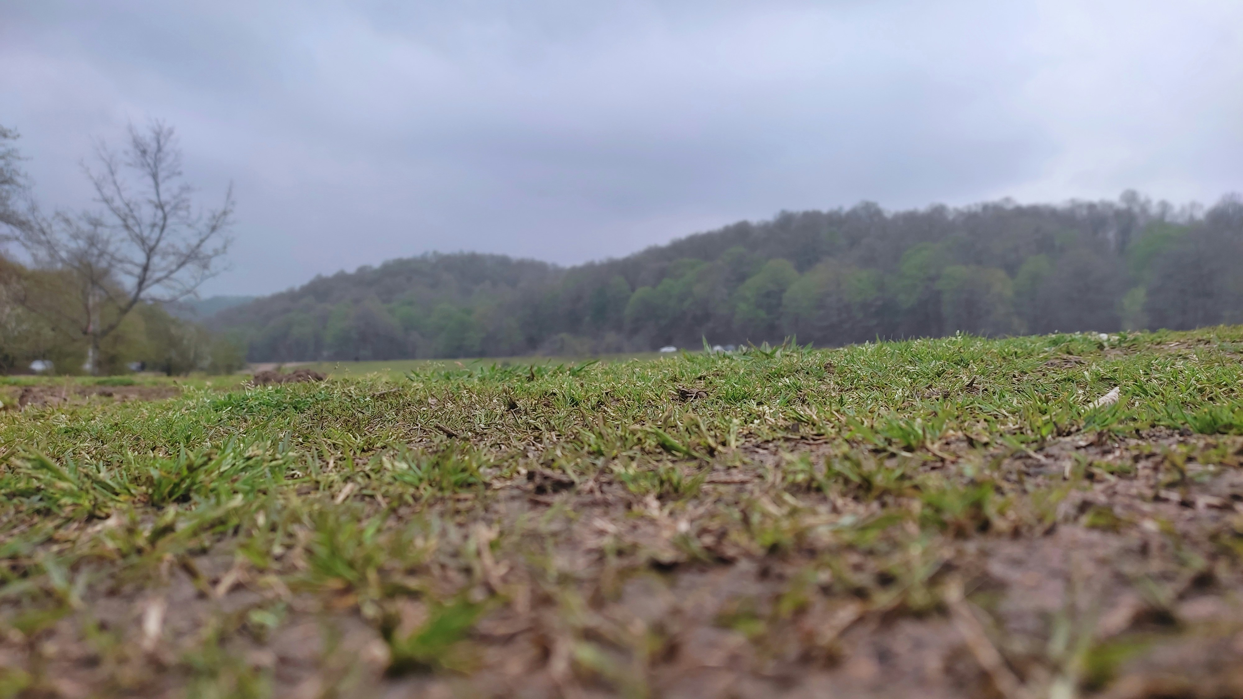 Close-up view of dew-kissed grass and earthy soil under a cloudy sky, showcasing the tranquility of nature.
