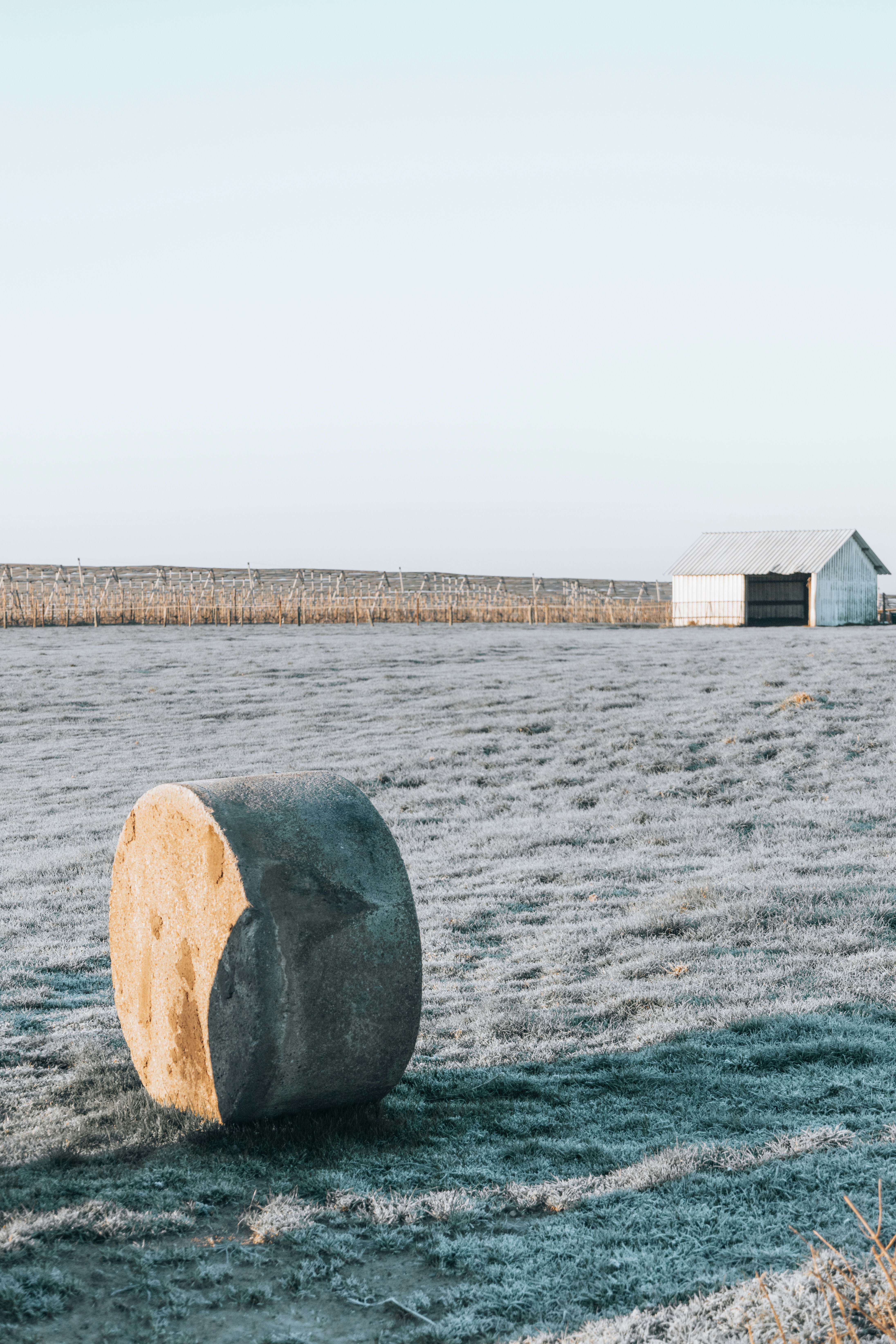 Sculpted Dawn: A Distant Shed and a Stone Sentinel