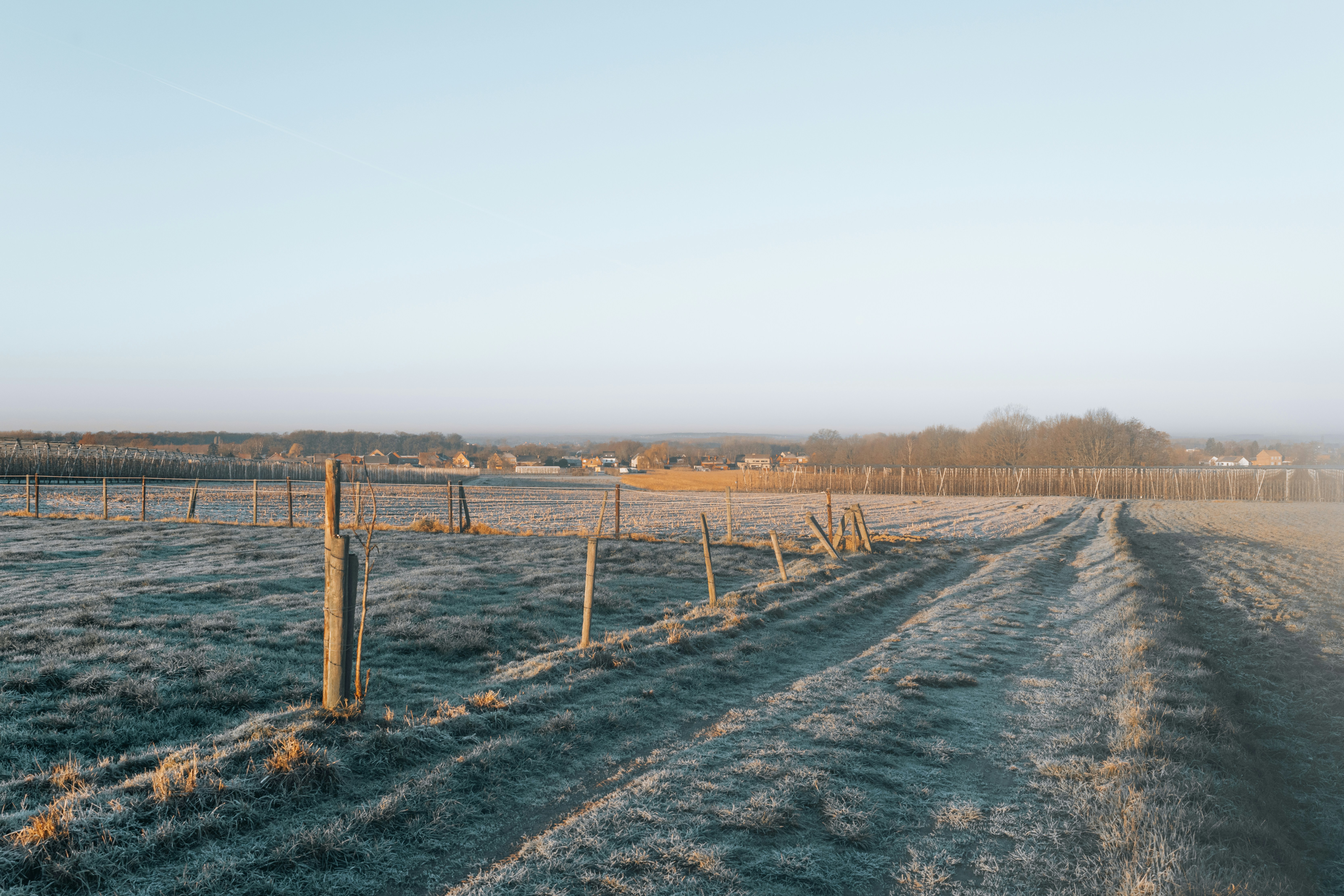 A frosty field with a fence in the foreground photo – Free Nature ...