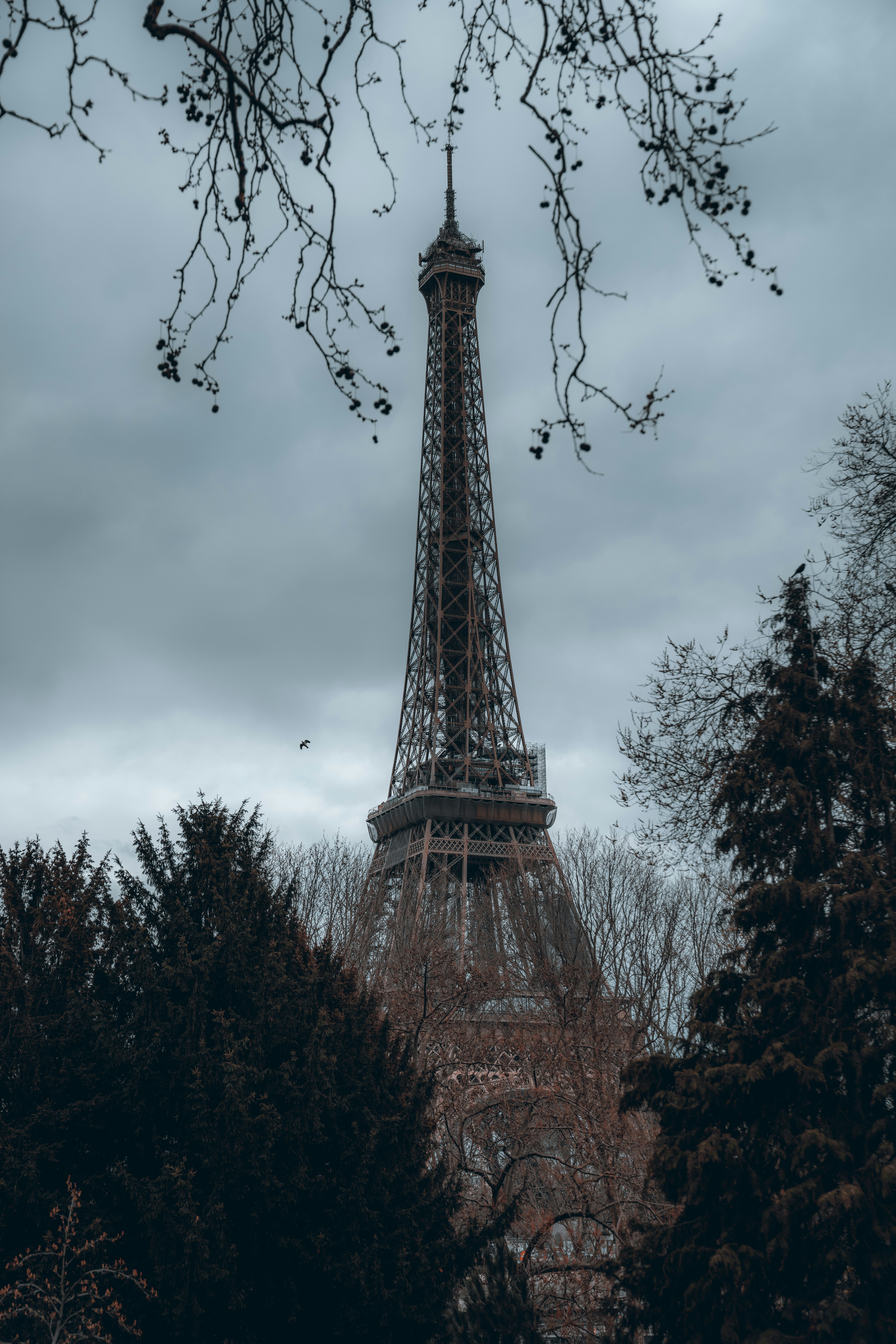 the eiffel tower is seen through the trees