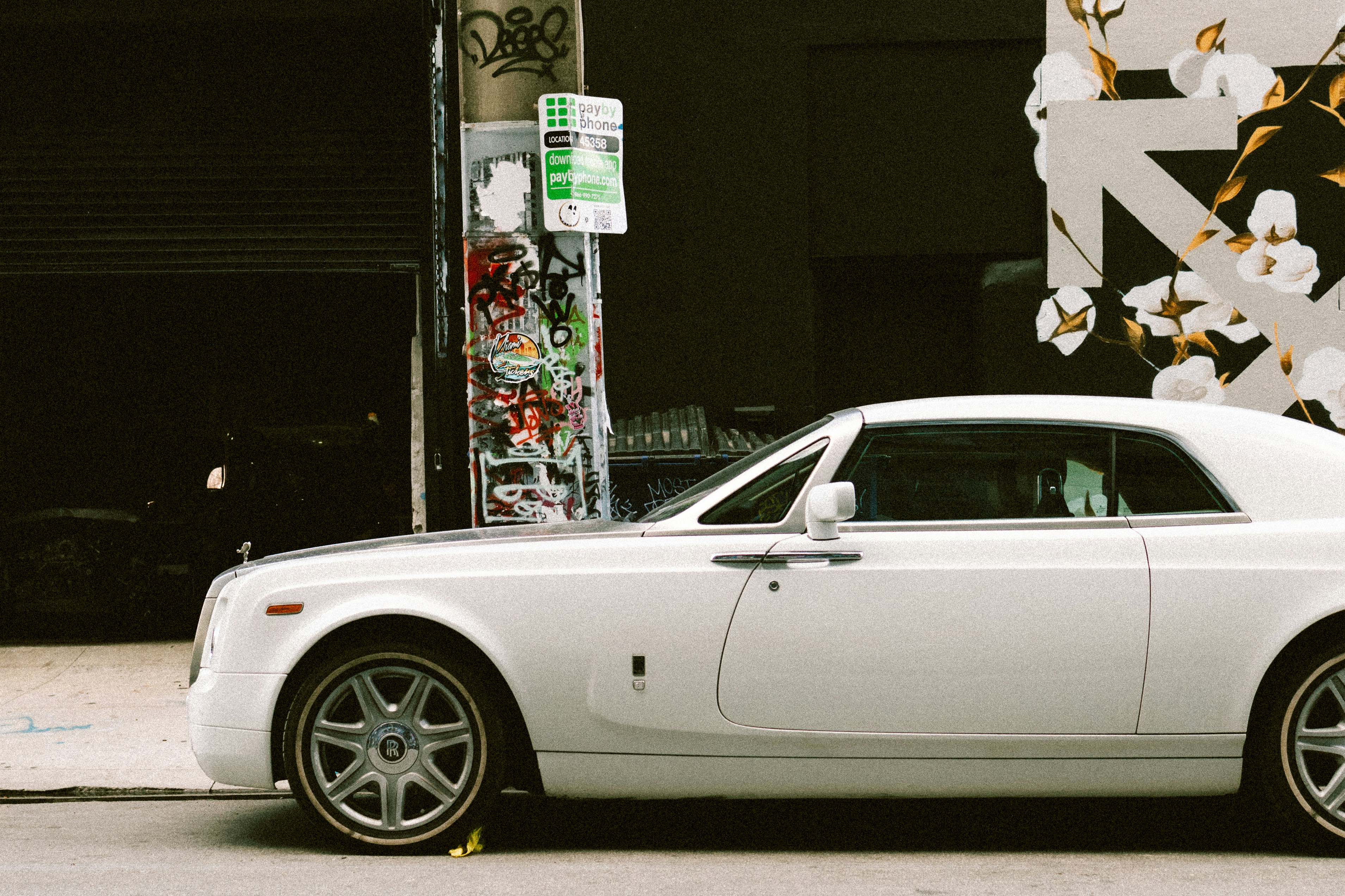 Elegance Amidst Urban Chaos