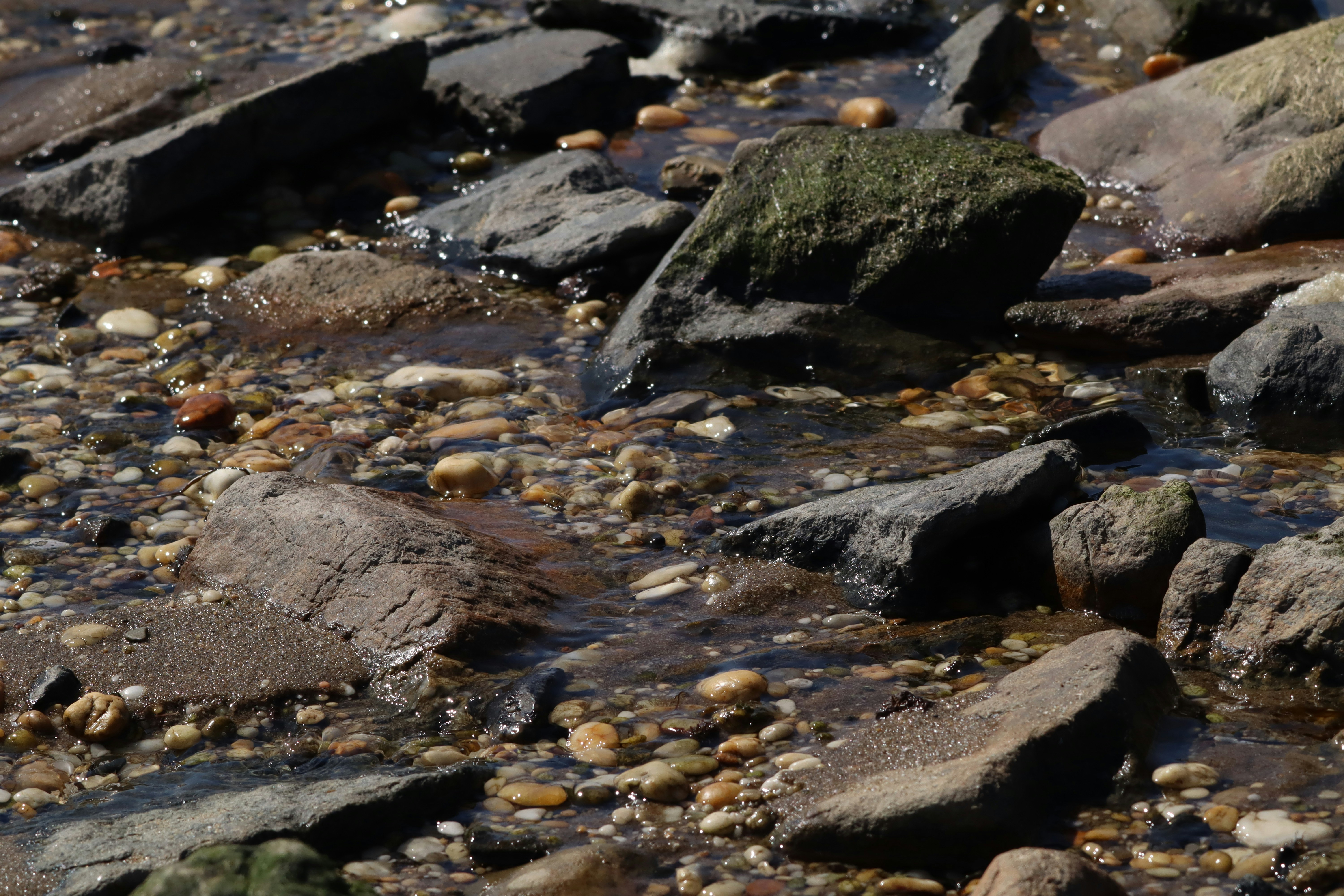 Rocks and pebbles in a stream of water photo – Free Sandy hook Image on ...
