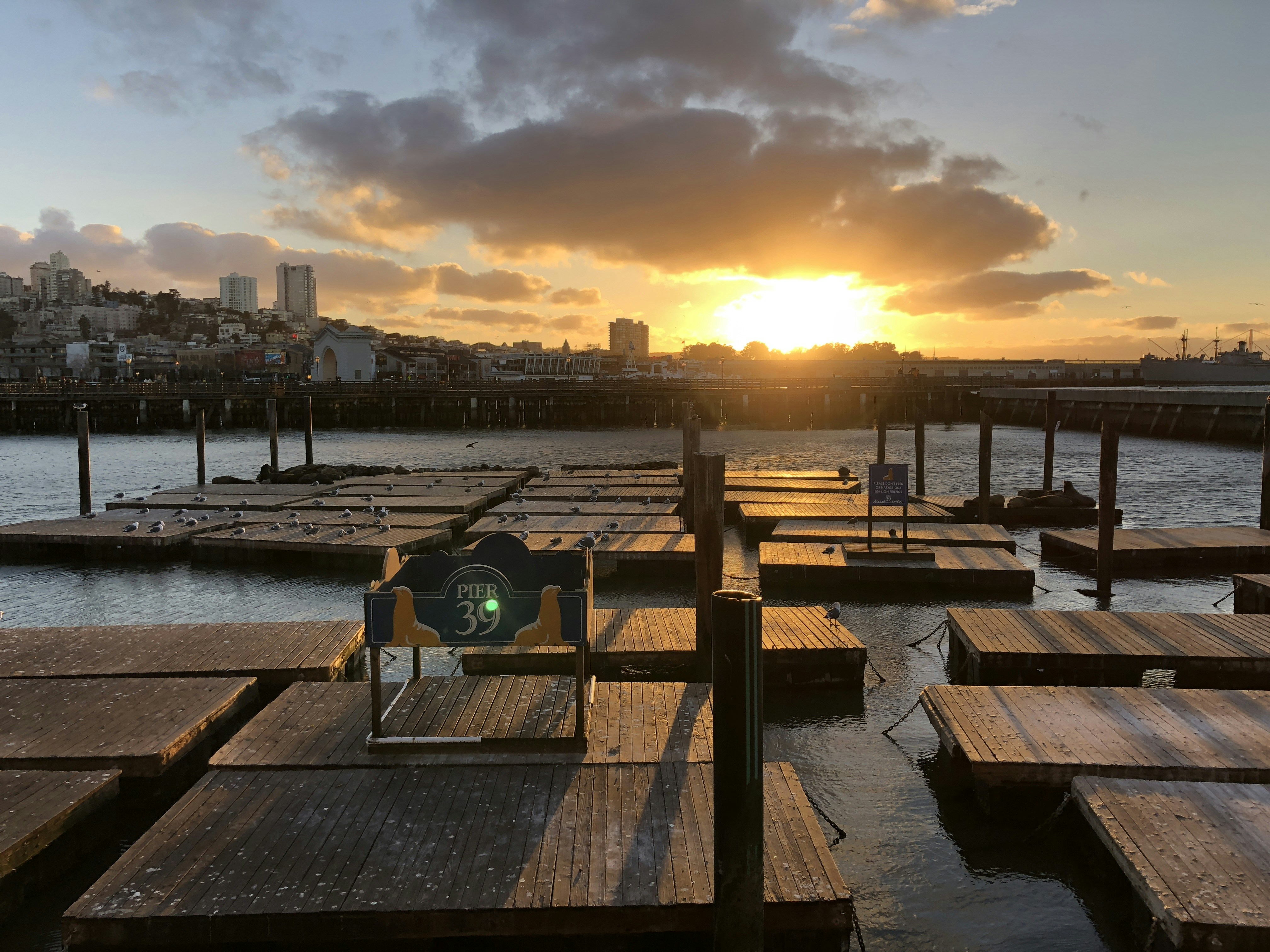 Sunlit Harbor: Floating Docks Align with a Golden Sunset