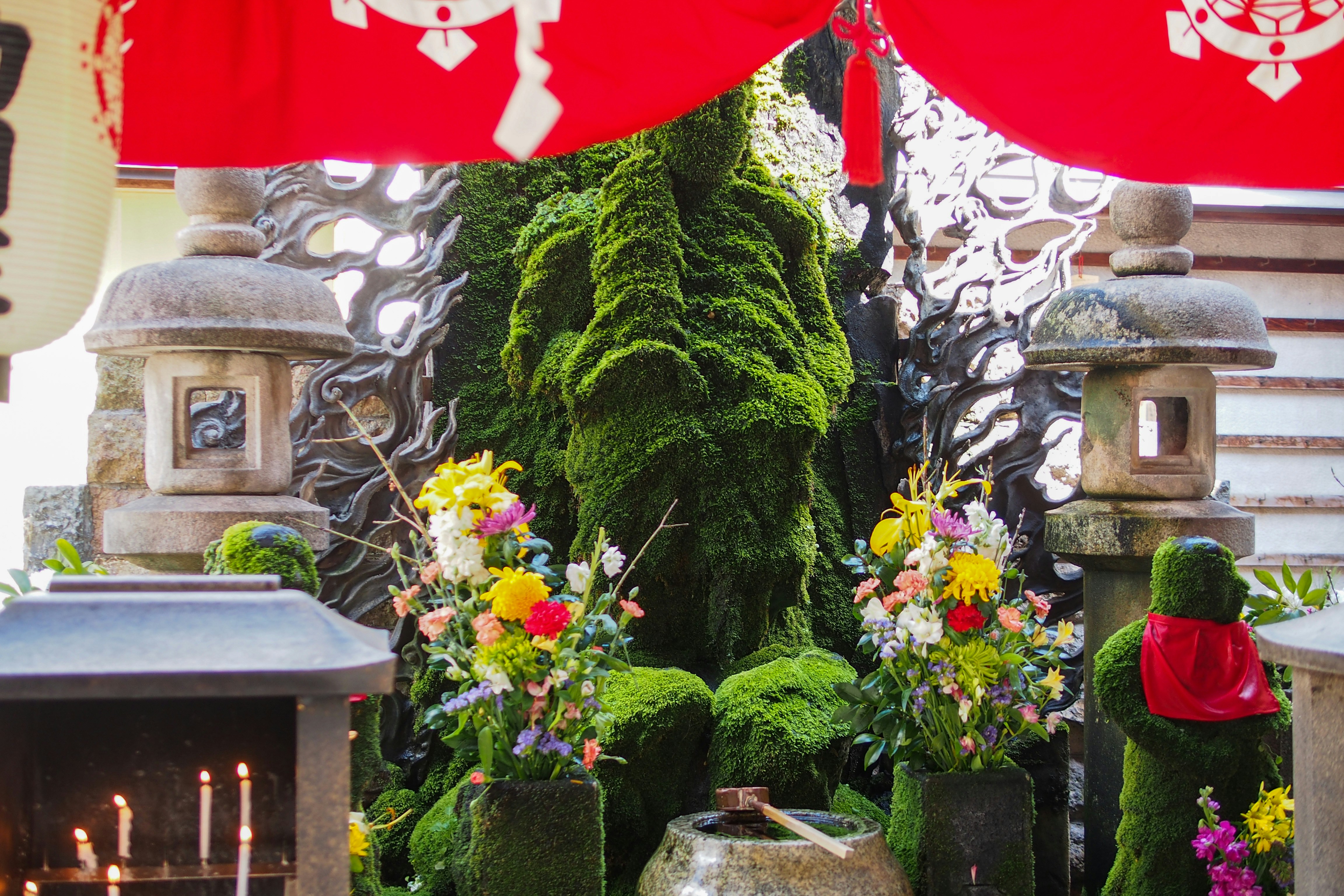 a display of flowers and moss in a garden