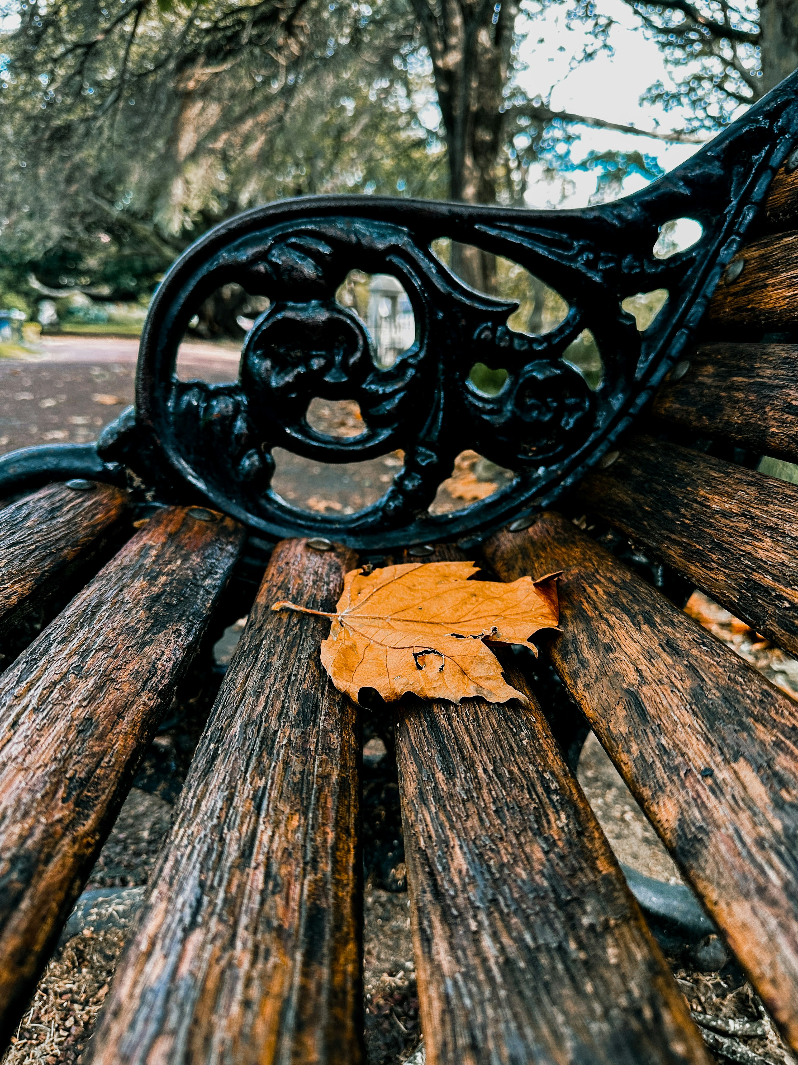 Dilum De Silva (@dilumdesilva) | Unsplash Photo Community