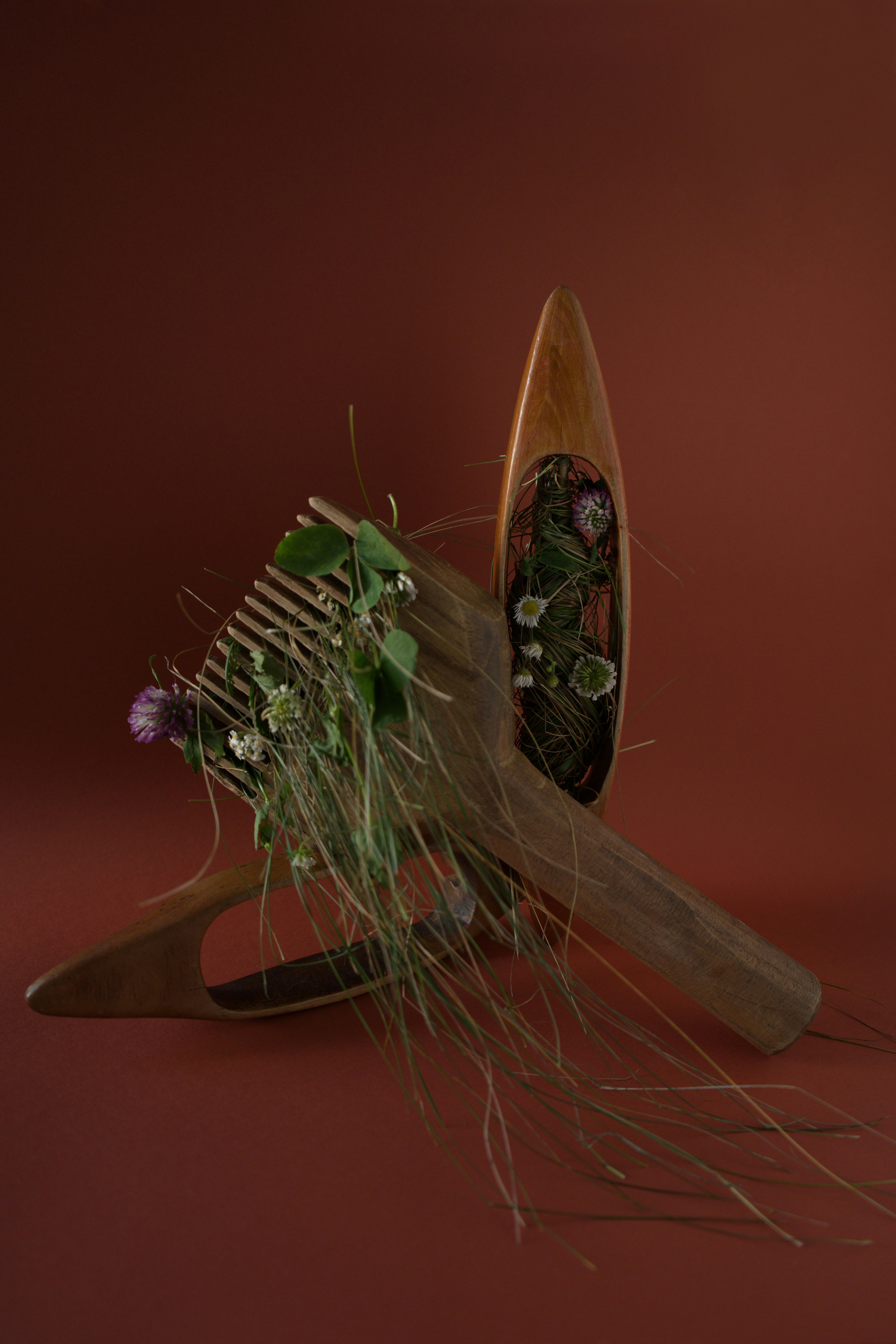 Bloom in the Bend: Wildflowers Spill from a Wooden Shoe