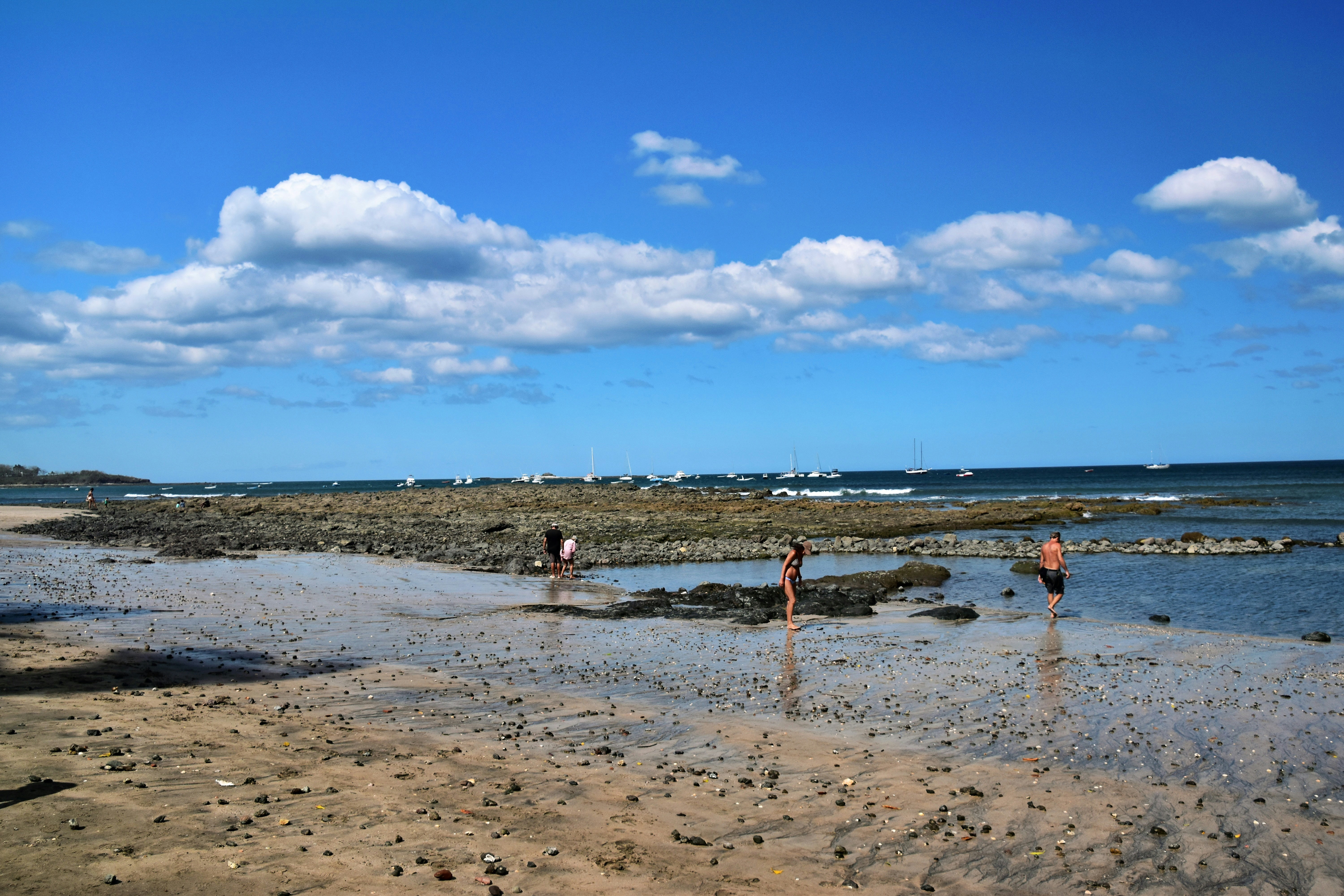 Photo by Jeffrey Eisen with Nikon D5600