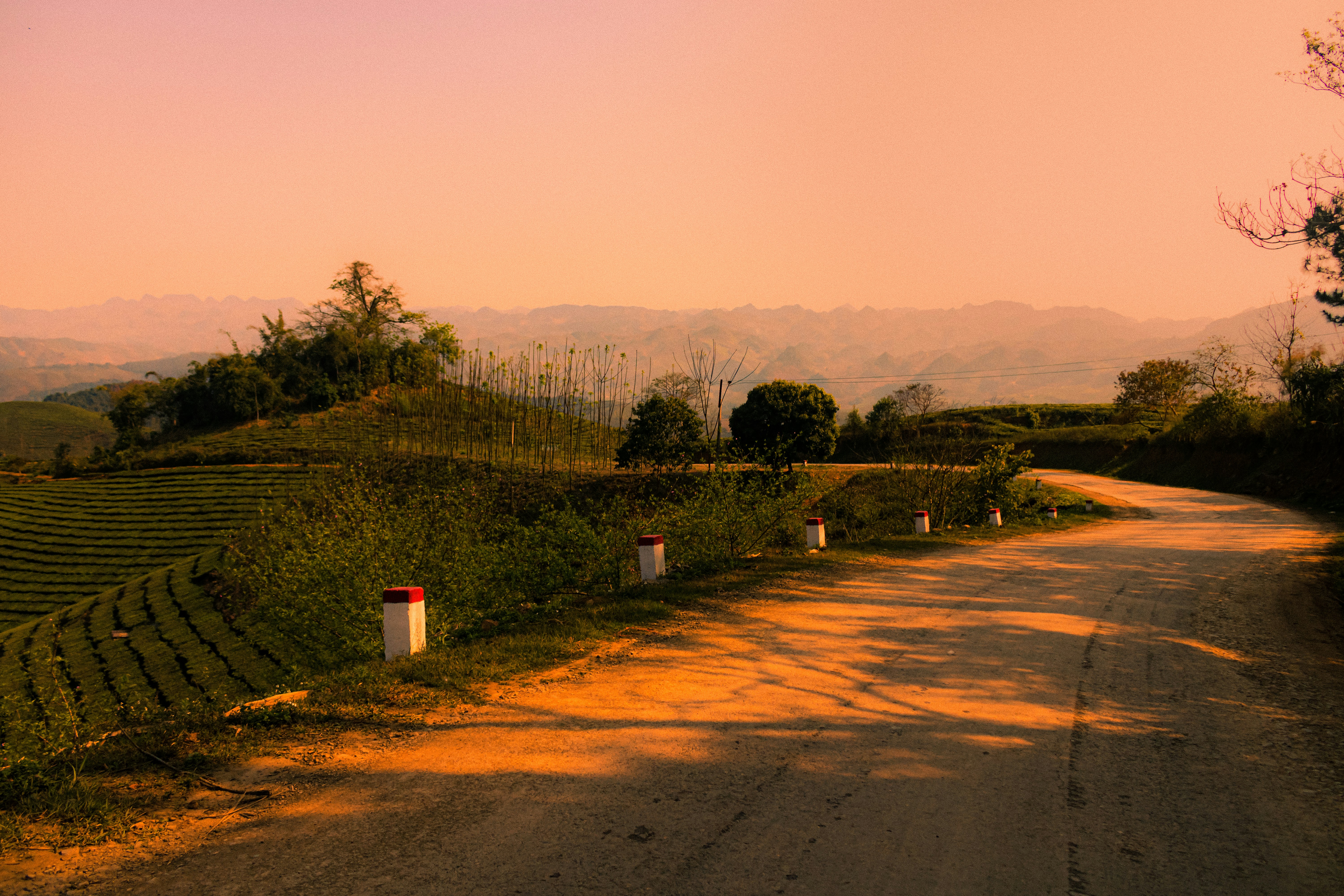 Amber Road at Dusk: Terraced Fields and a Winding Path