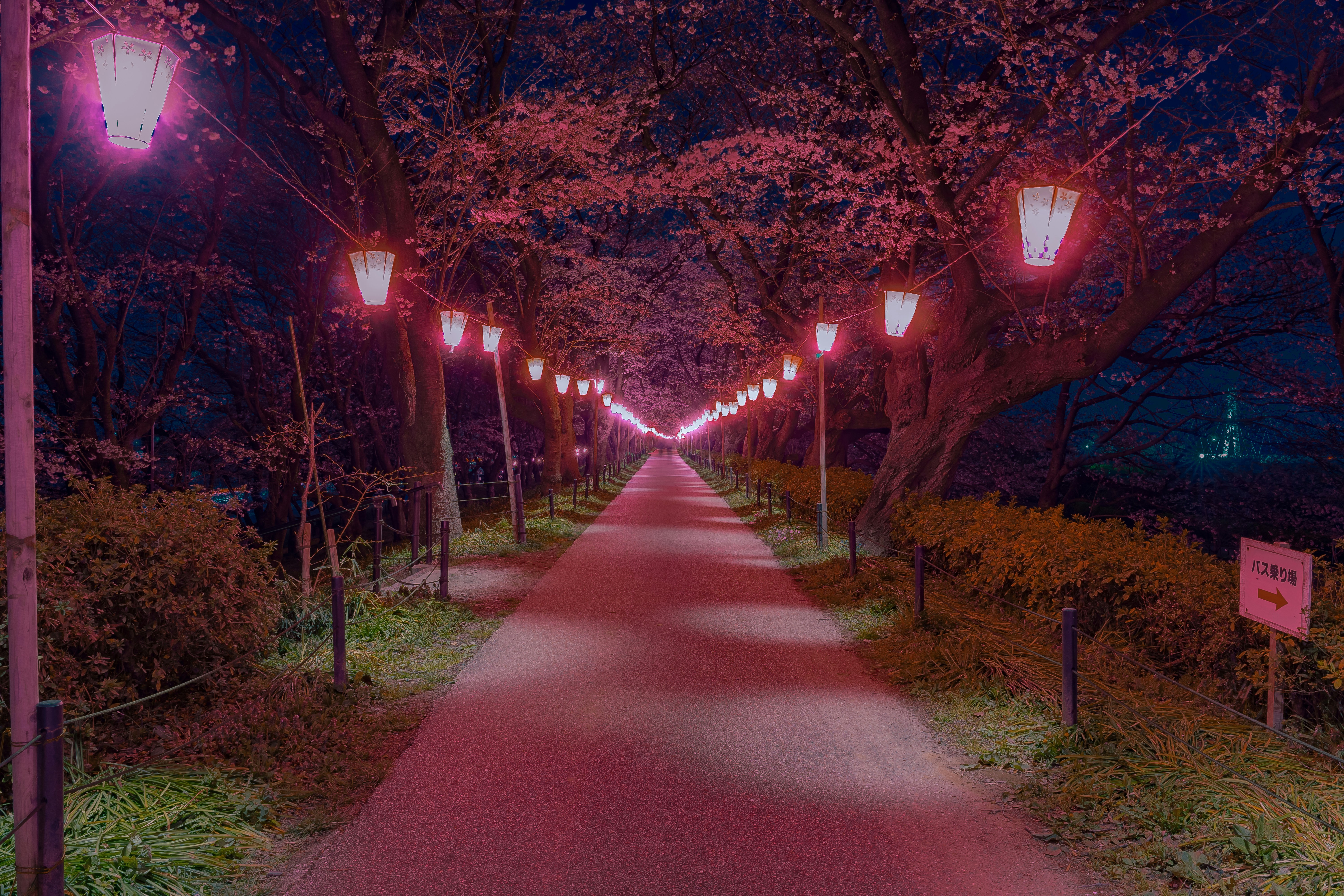 a long red path lined with street lights