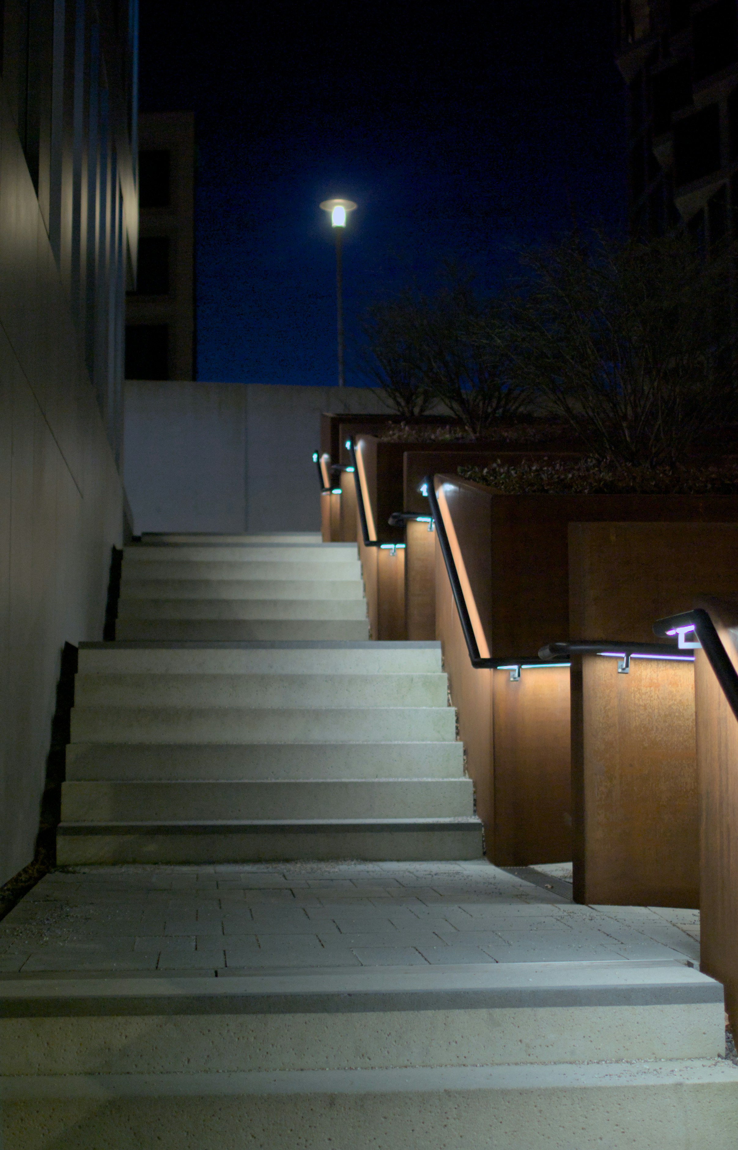Well-lit staircase leading upward at night, flanked by modern landscaping and a streetlamp casting a warm glow.