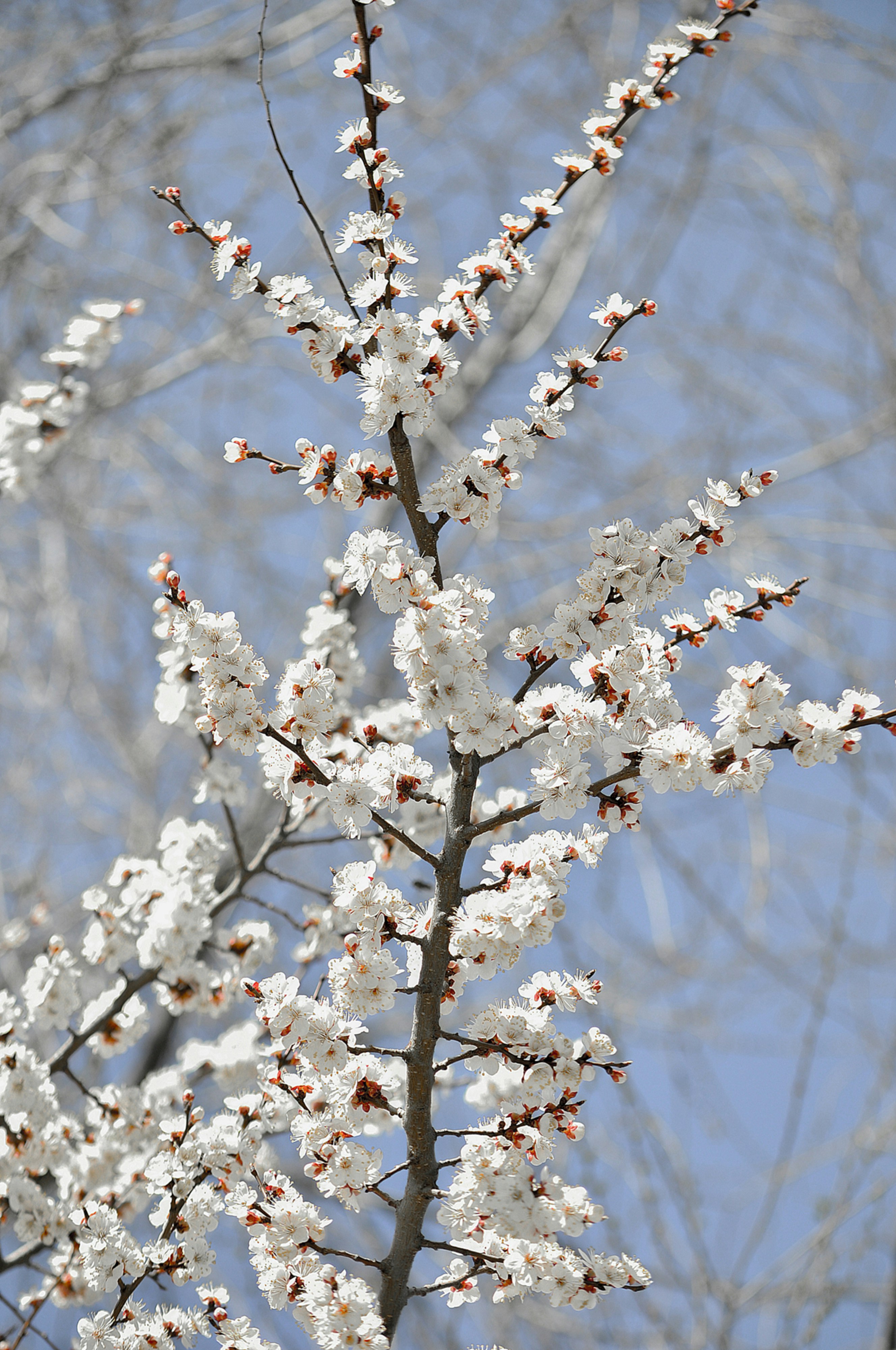 Photo by Isakov Eldiiar with Nikon D5000