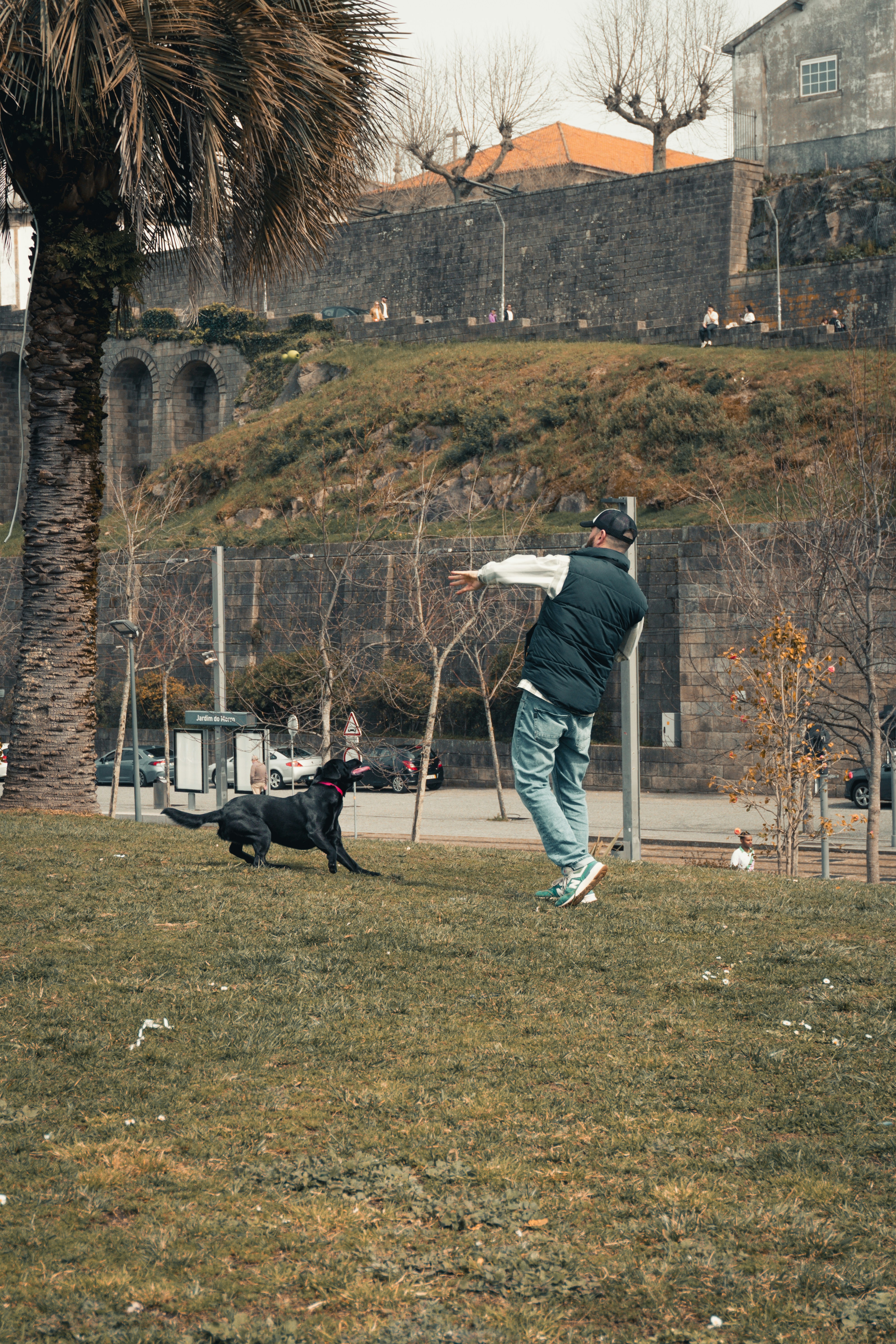 A man throws a toy while his black dog eagerly runs to fetch it in a park setting. The scene captures a moment of playful interaction between the two.