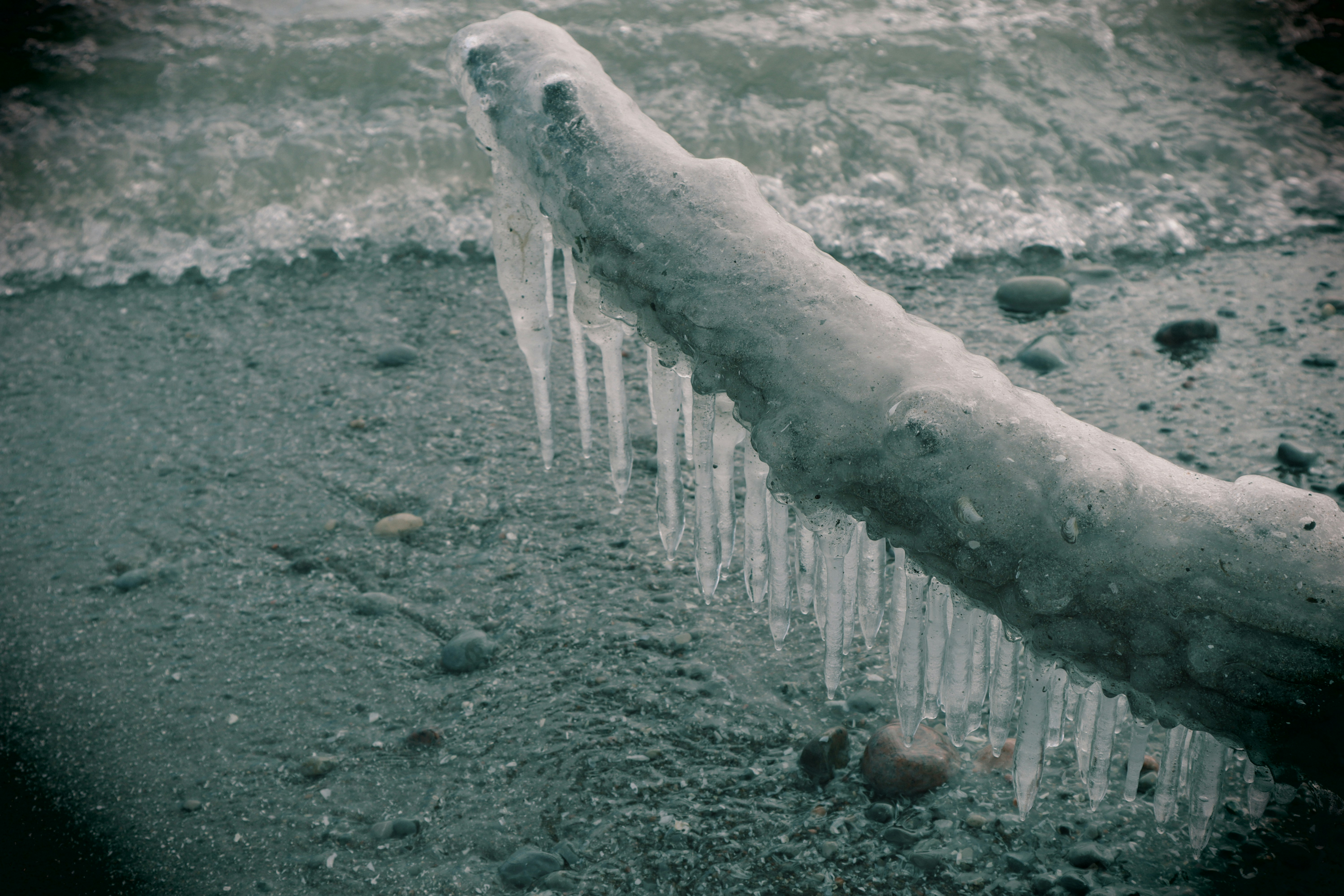 Icicles on a frozen drift: a quiet moment along the shoreline
