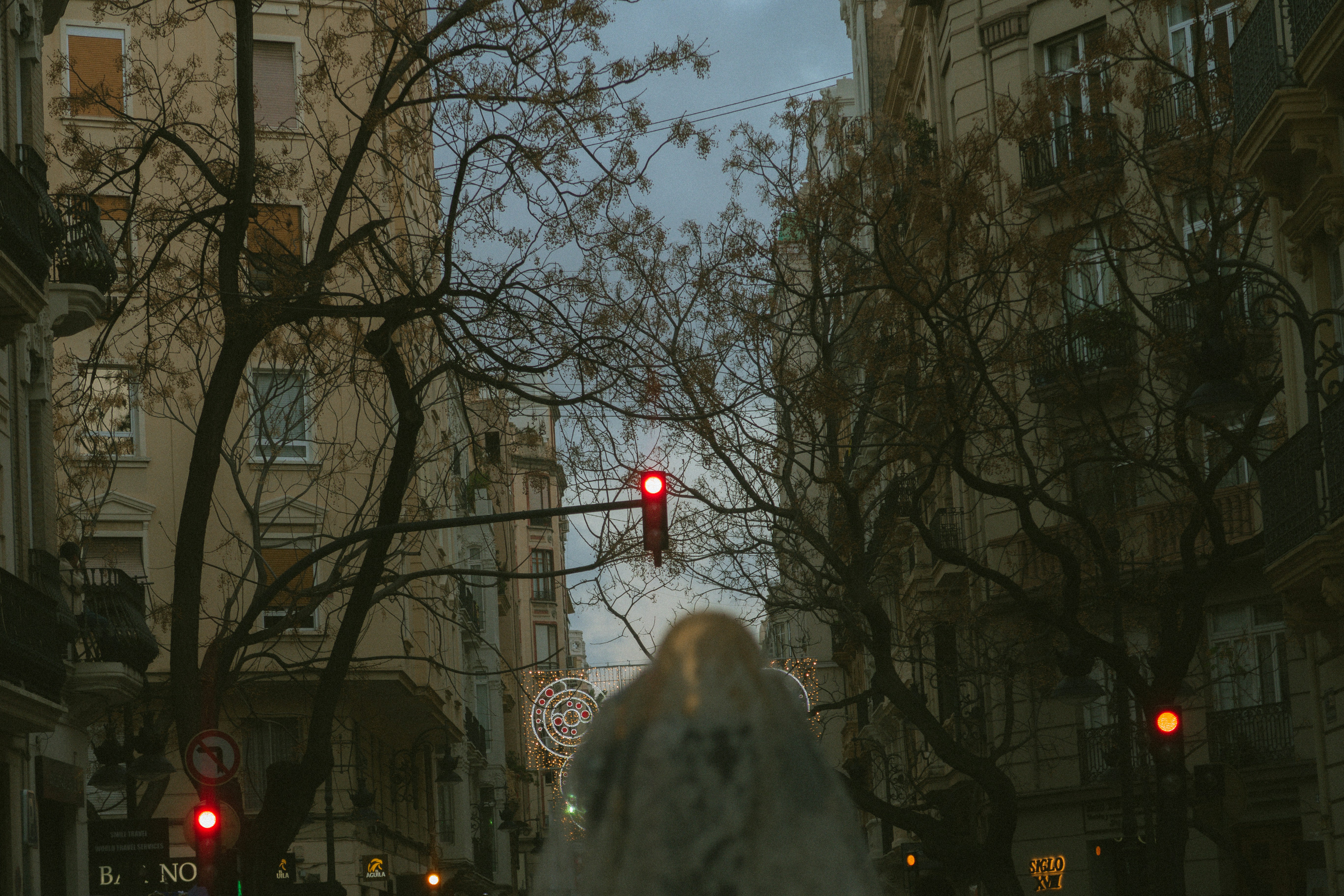 Silhouetted trees frame a red traffic light against twilight skies in a city street.