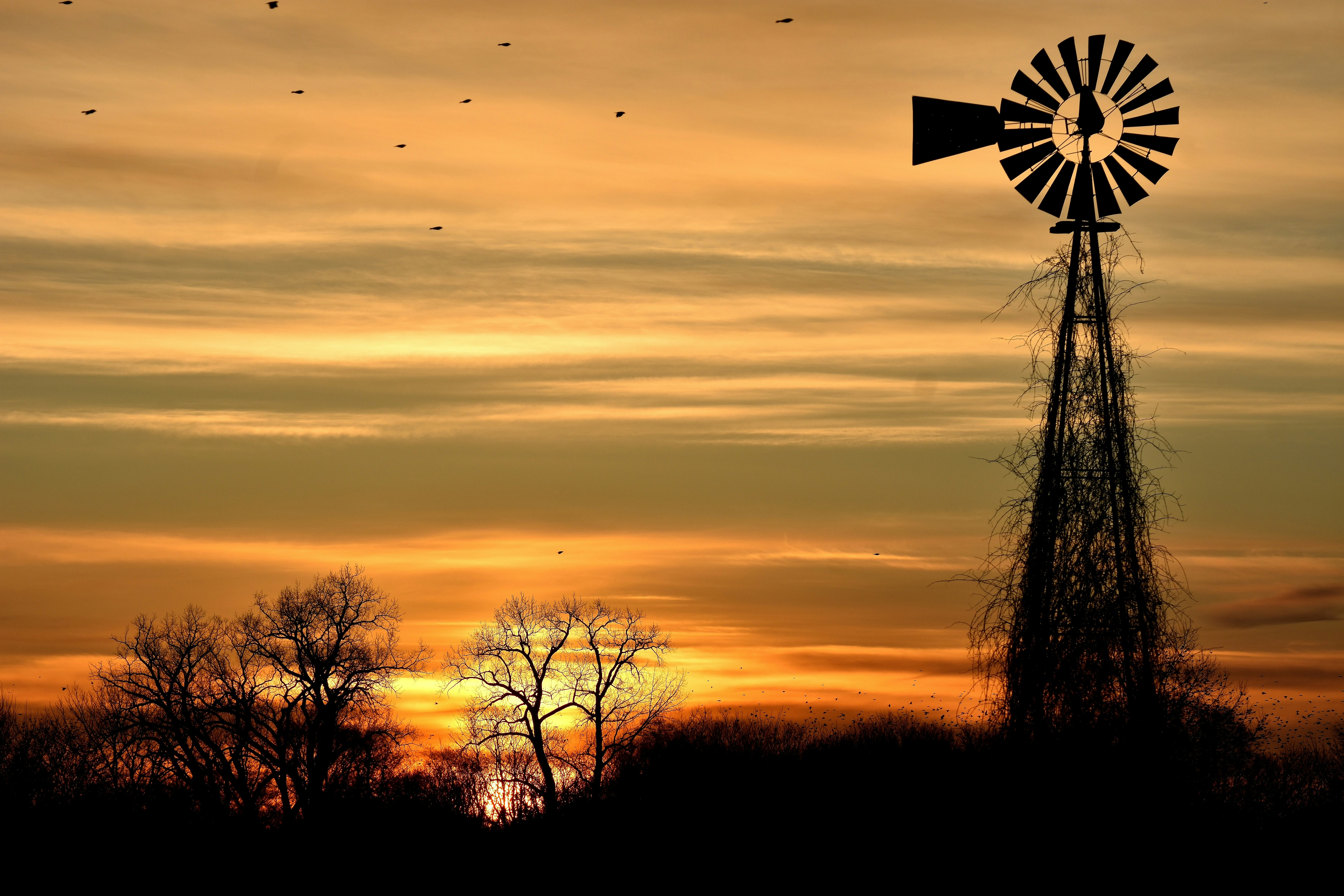 A windmill with birds flying in the sky photo – Free Windmill Image on ...