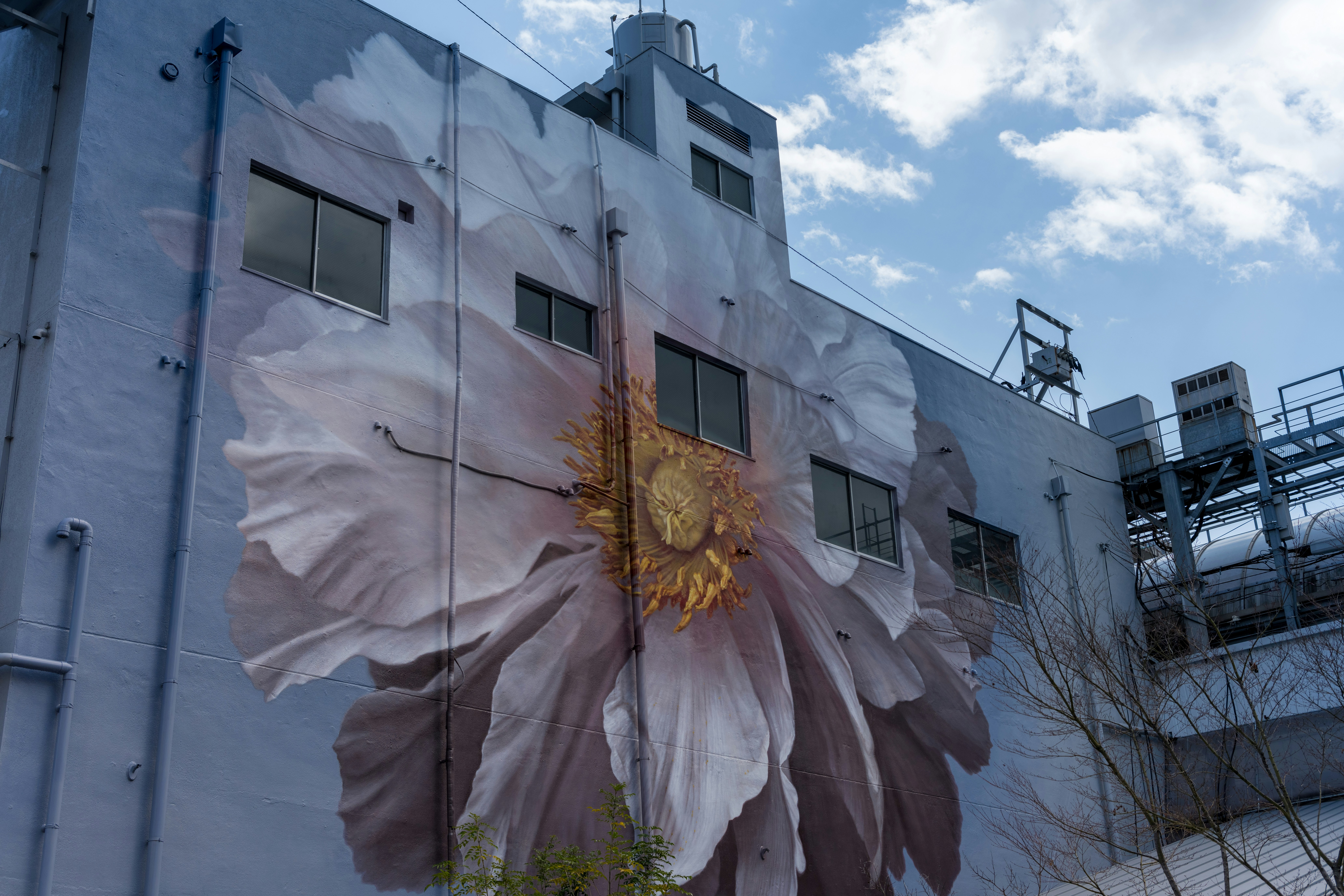 Photo by Kouji Tsuru with Nikon Z7 II