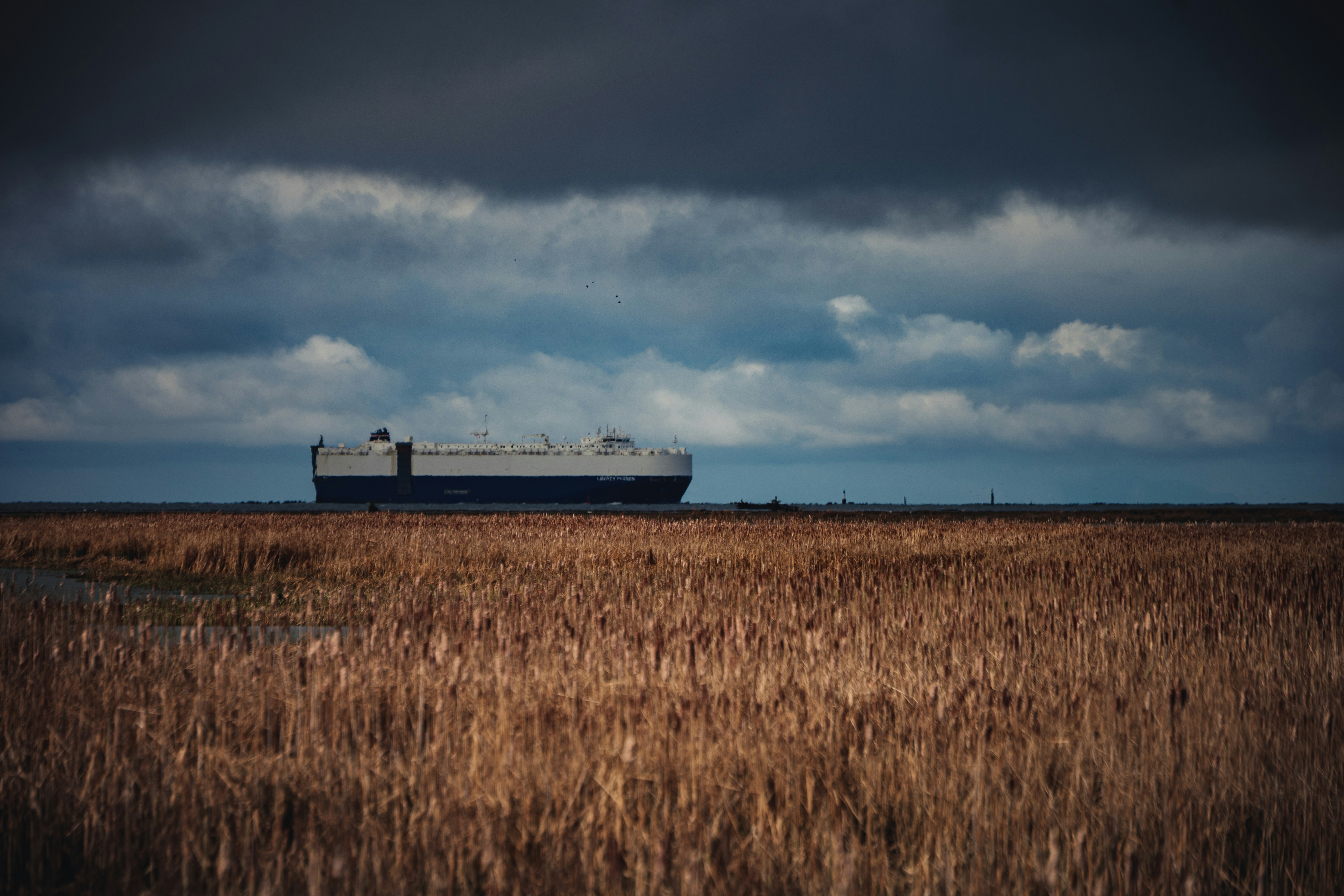 Distant Freighter on a Marsh Horizon
