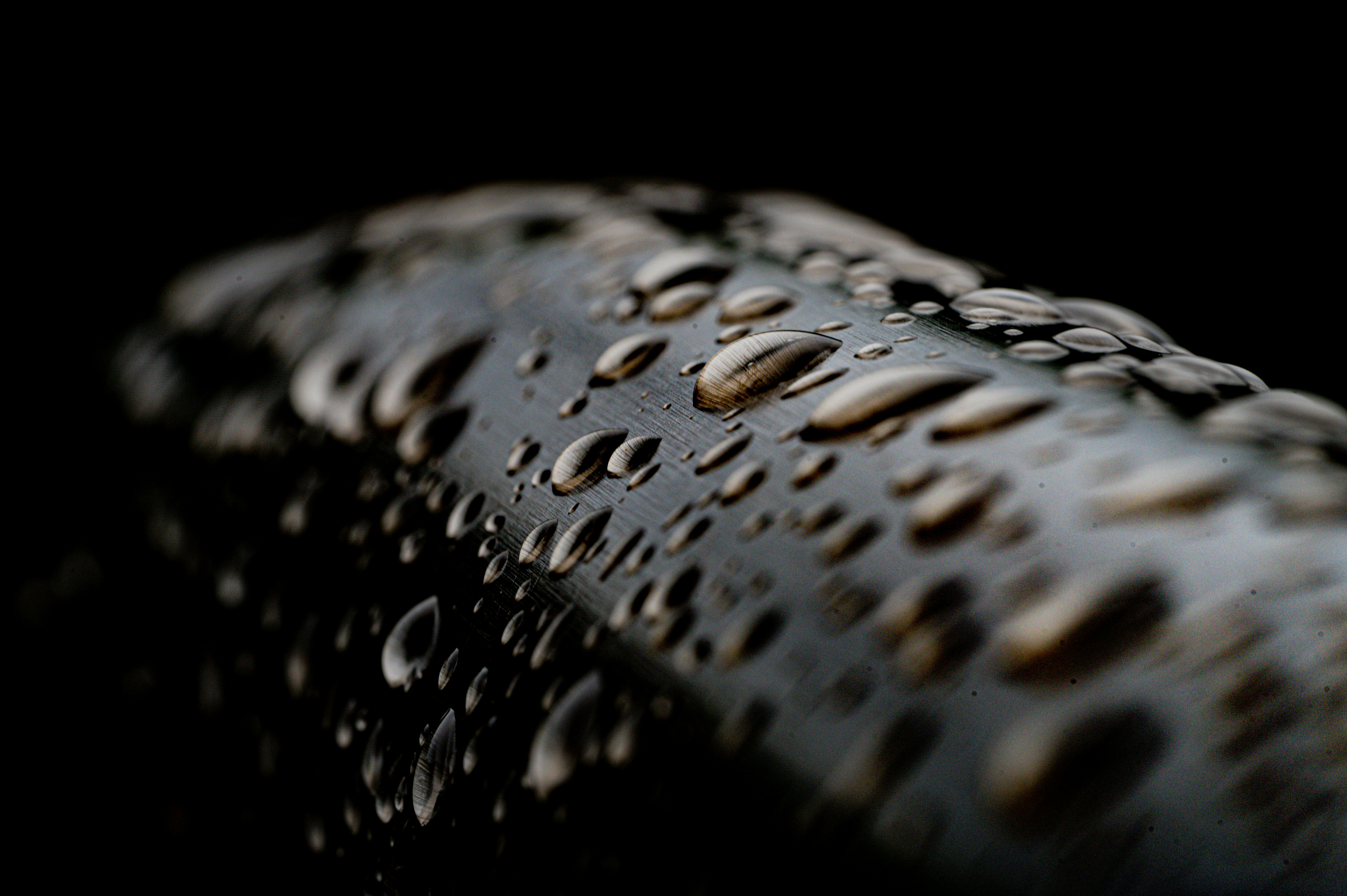 Noir Curve: A Row of Water Droplets Along a Gleaming Surface