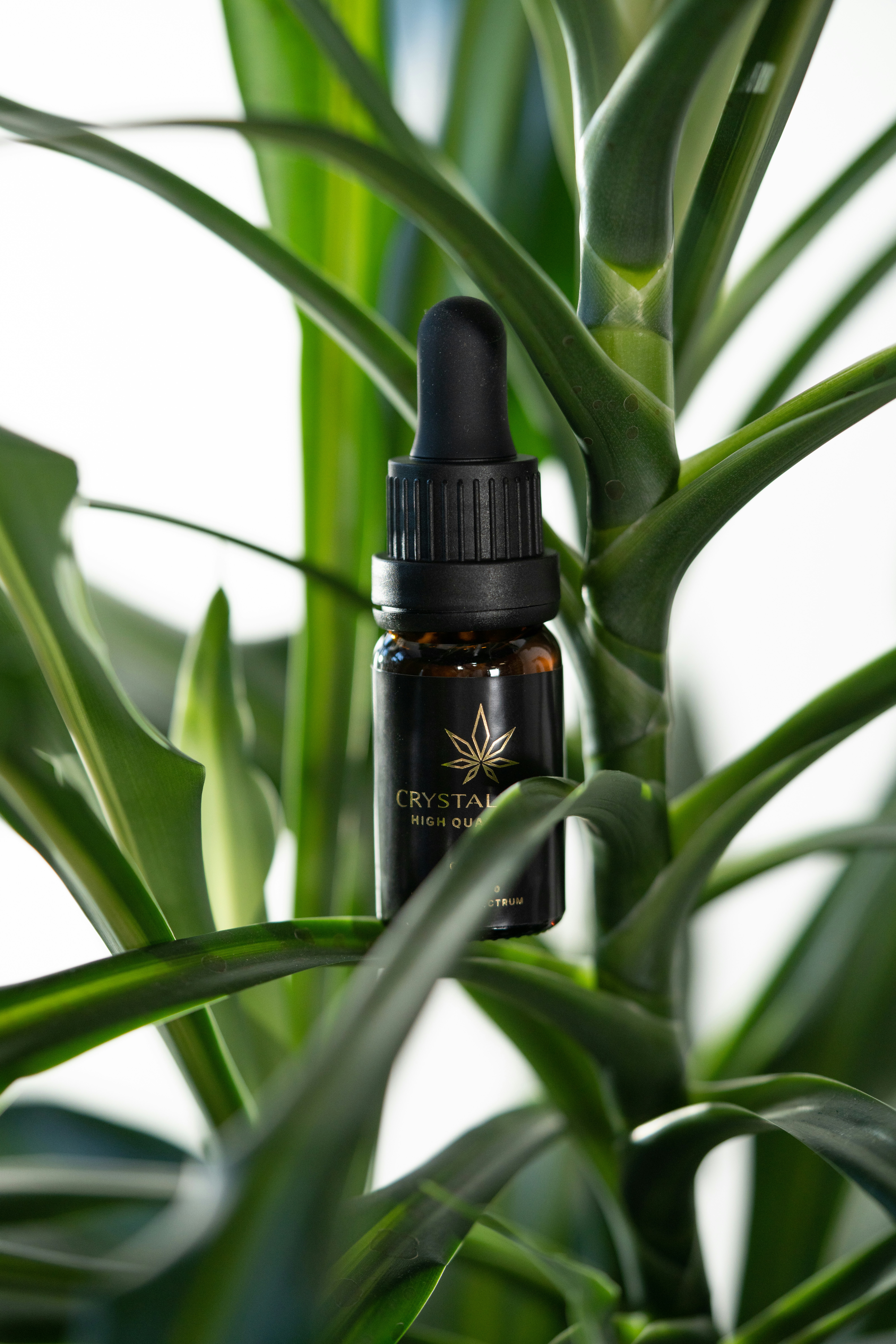 A bottle of cb cb cb cb cb cb cb cb cb cb cb cb cb photo – Free Cbd oil ...