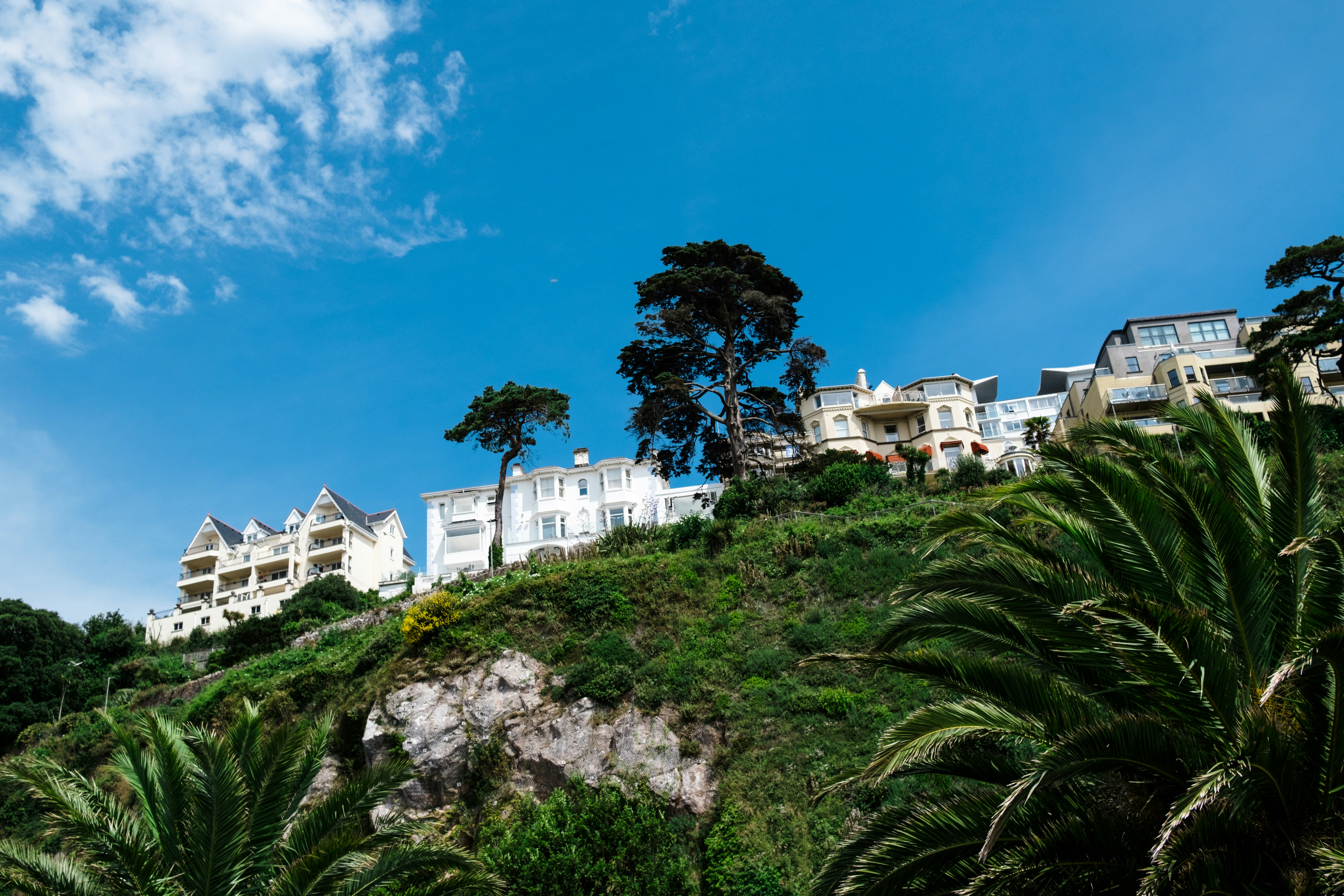 Une colline avec des maisons au sommet photo – Image gratuite de Bord ...