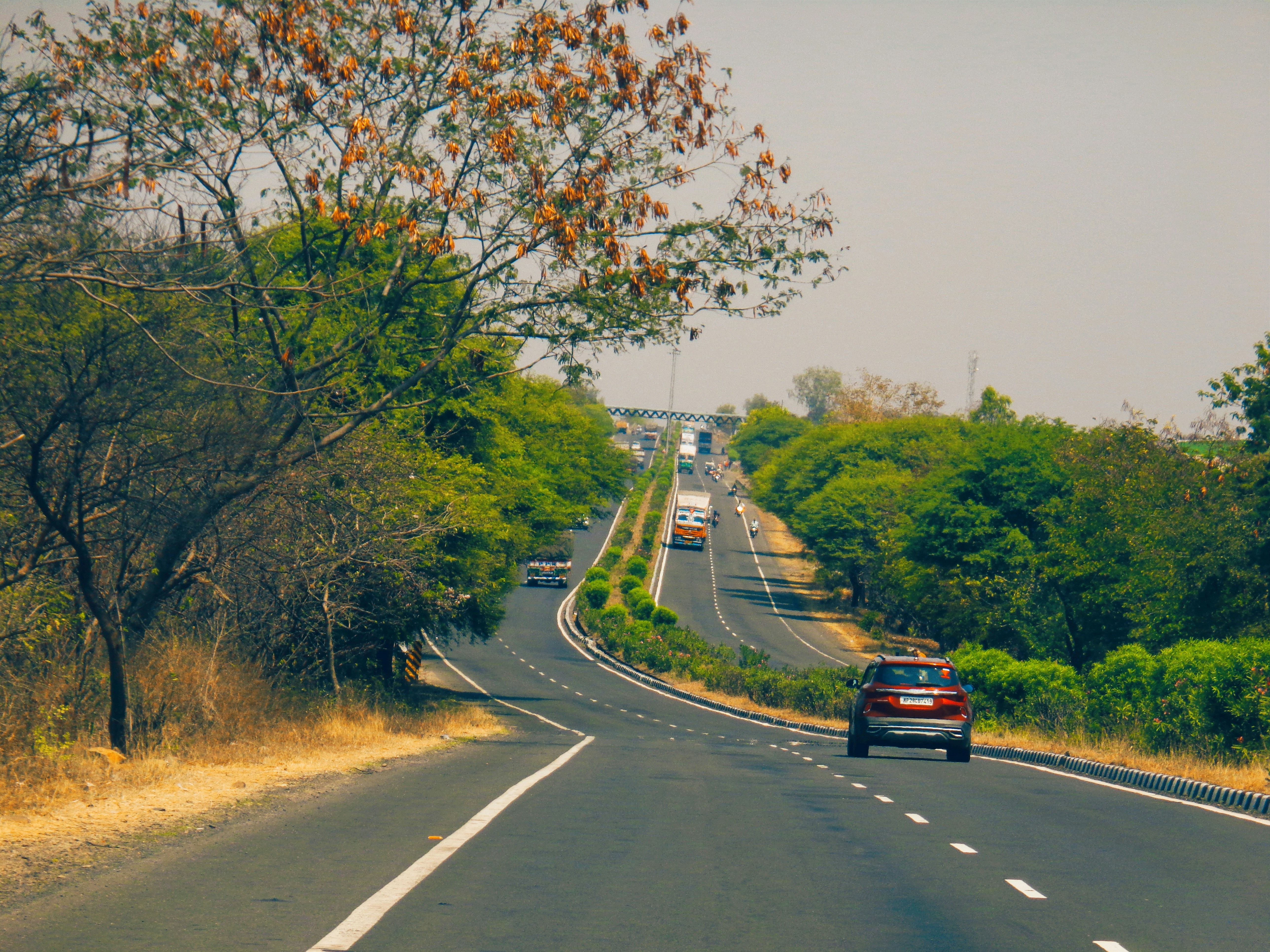 Red hatchback negotiates a sunlit, tree-lined highway as it curves toward the horizon, with another vehicle ahead and dry roadside vegetation framing the scene.