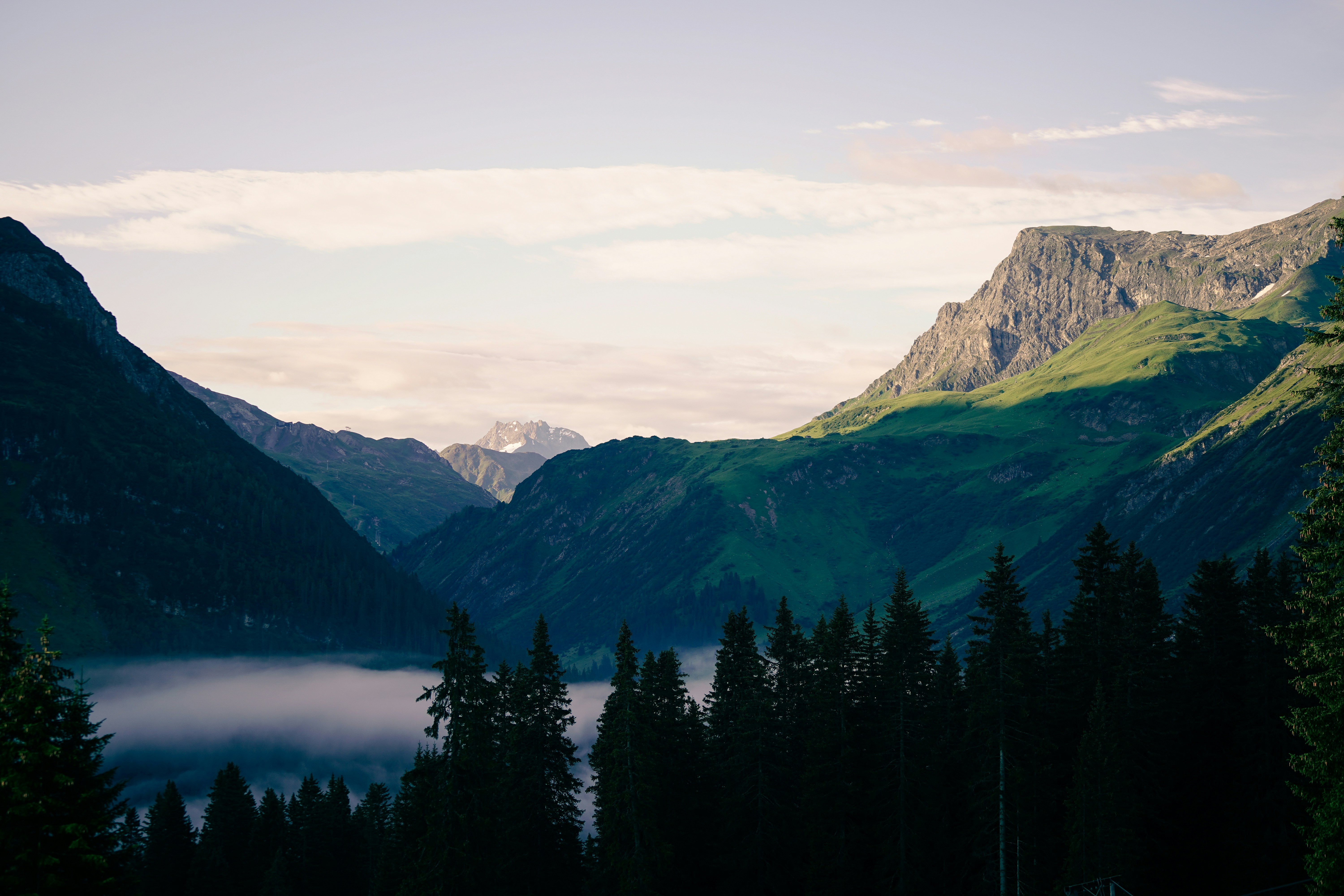 A view of a mountain range with trees in the foreground photo – Free ...