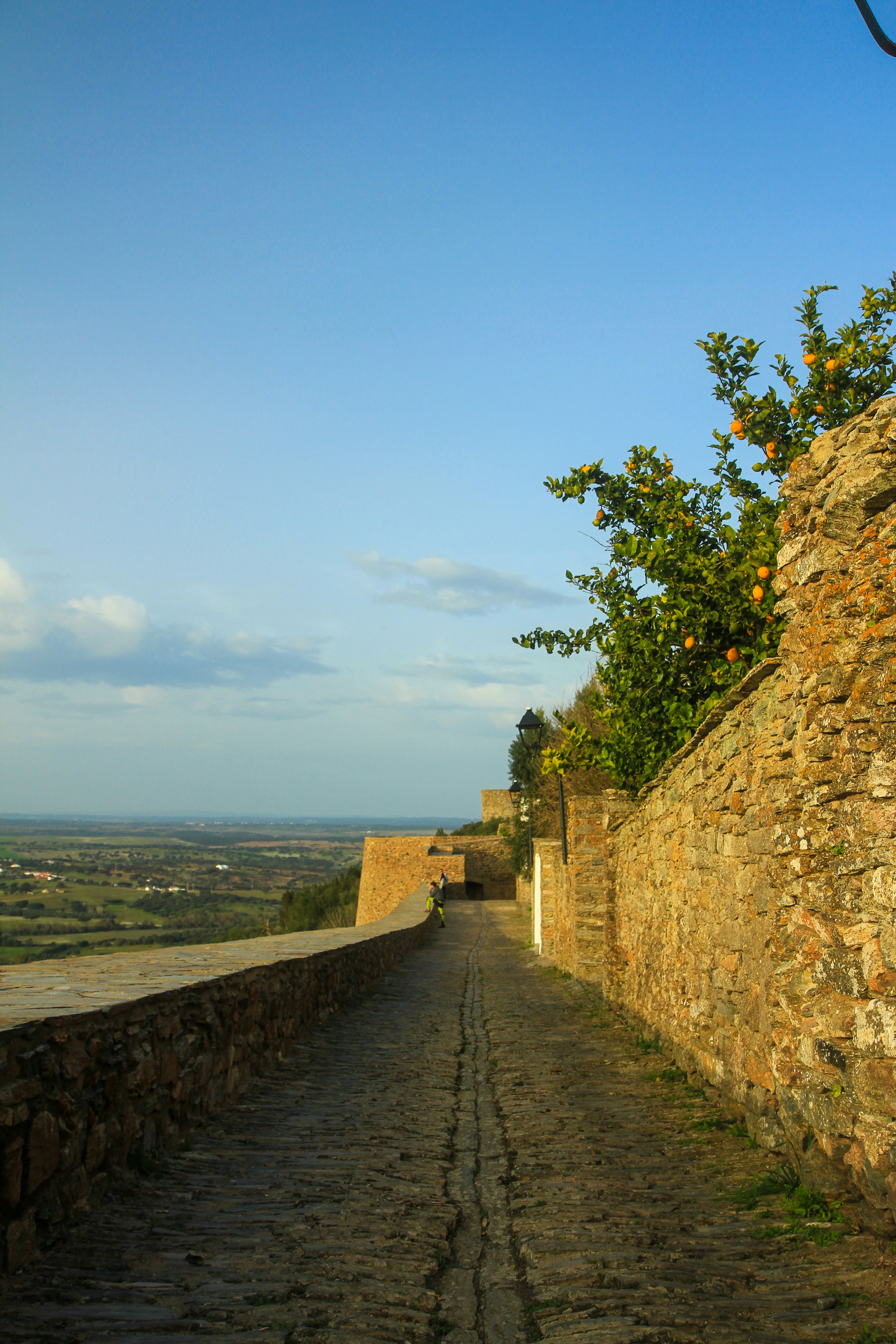 Cobblestone pathway lined with stone walls and orange trees, leading towards a distant horizon. The scene captures a serene moment in a historical setting.