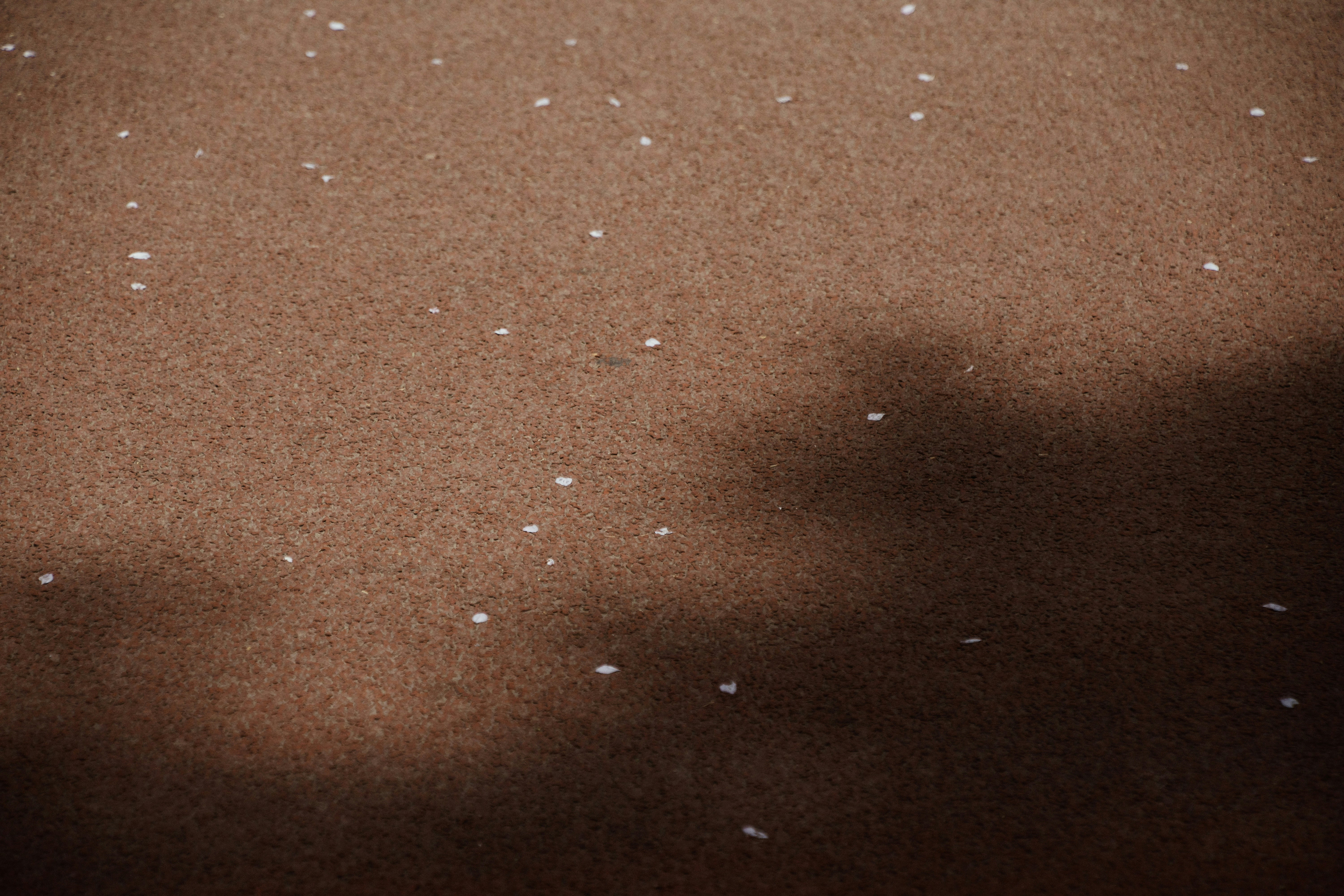 a shadow of a person standing on a carpet
