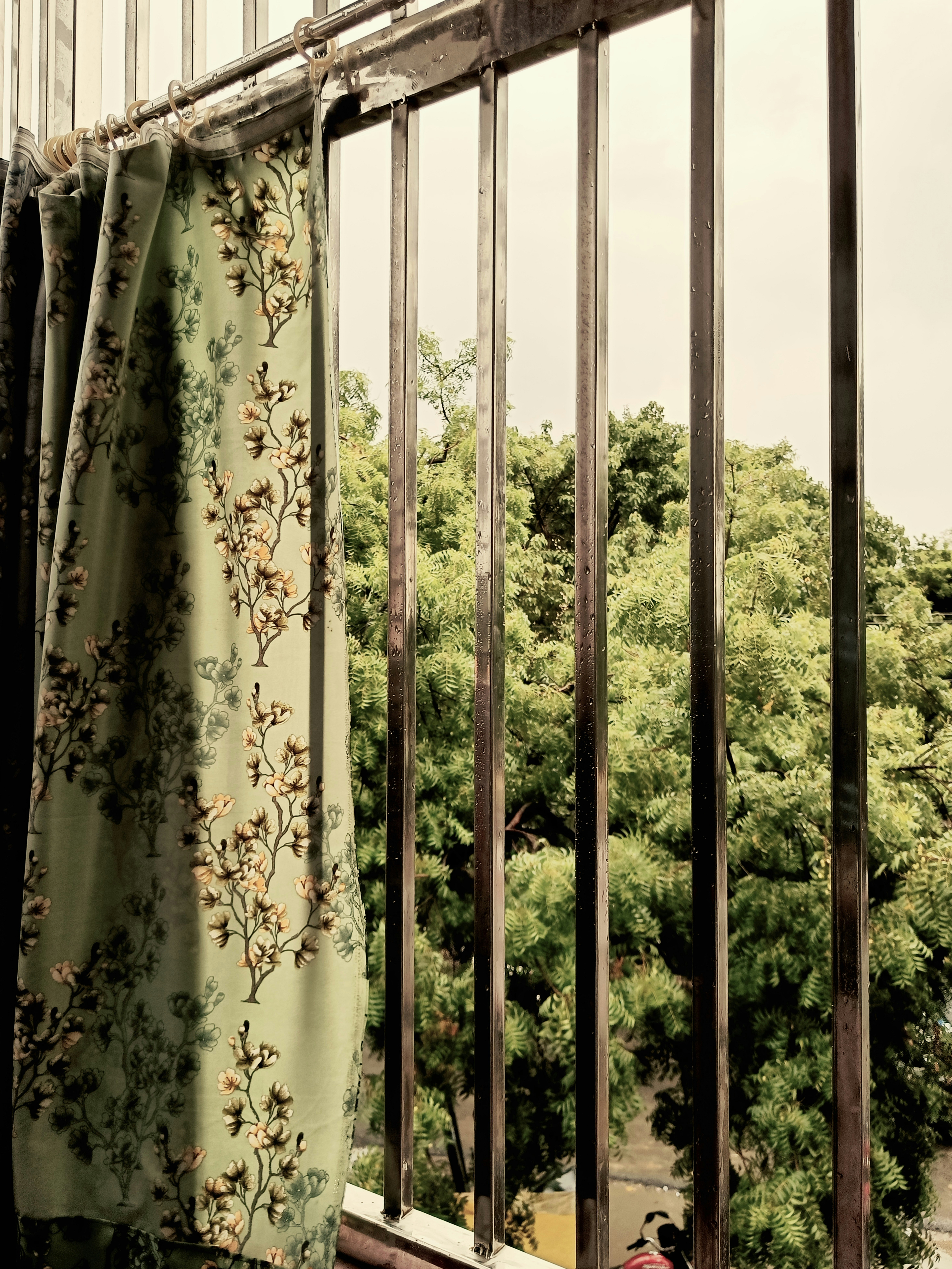 Flowery curtain drapes beside a window, framing a lush green tree outside, hinting at a serene outdoor view.