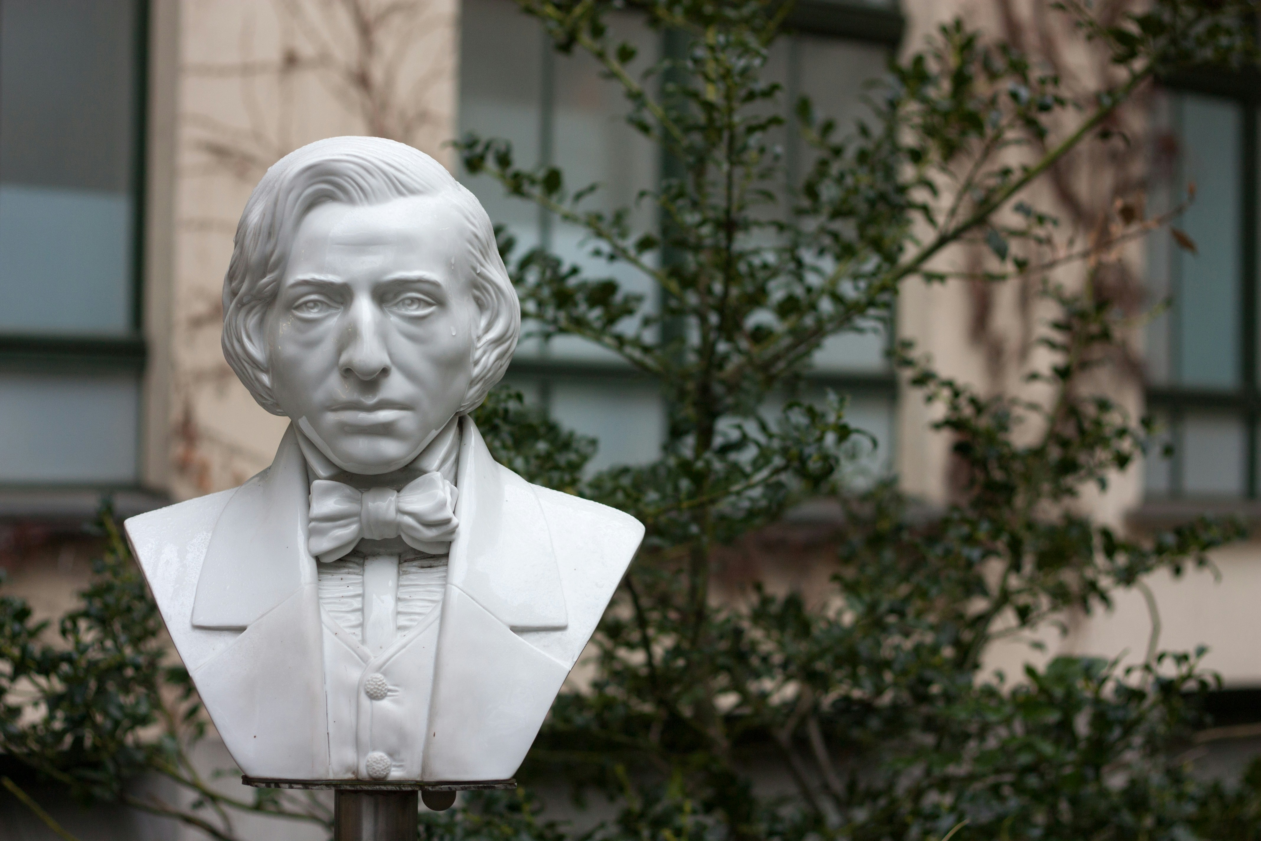 Classical Marble Bust in a Quiet Garden