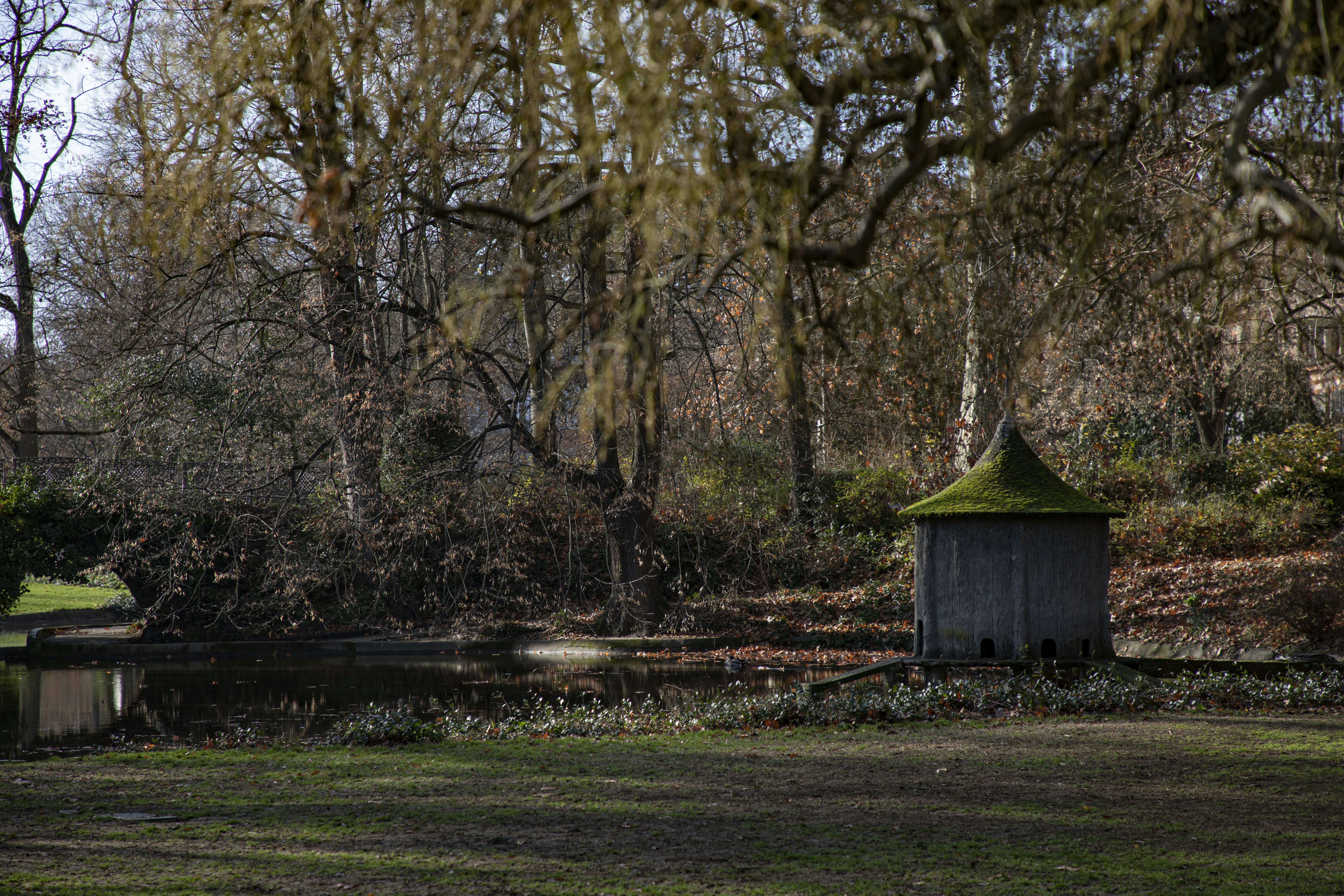 Mossy-roofed pavilion by the tranquil pond