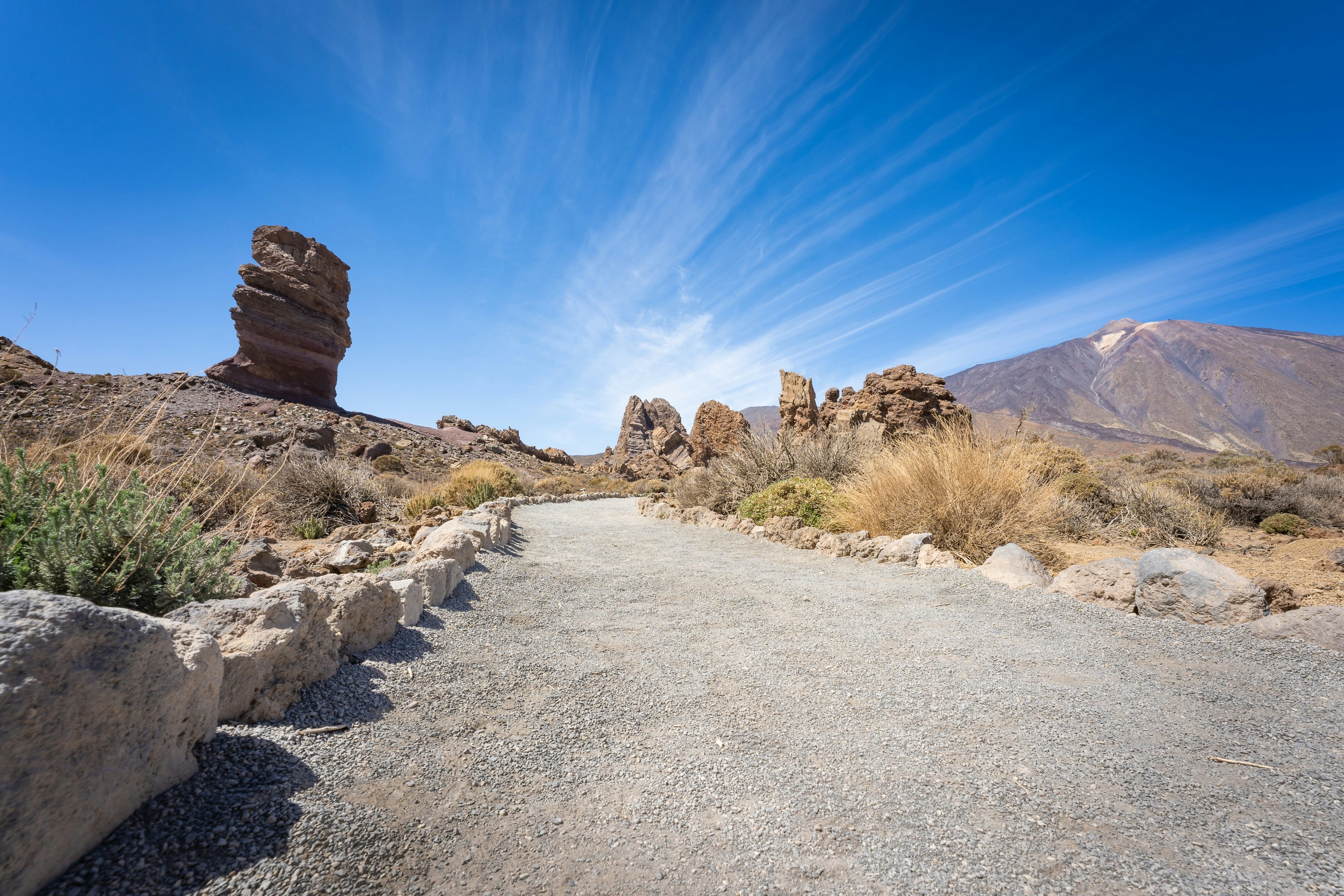 Un chemin de terre au milieu d’un désert photo – Photo Espagnol ...