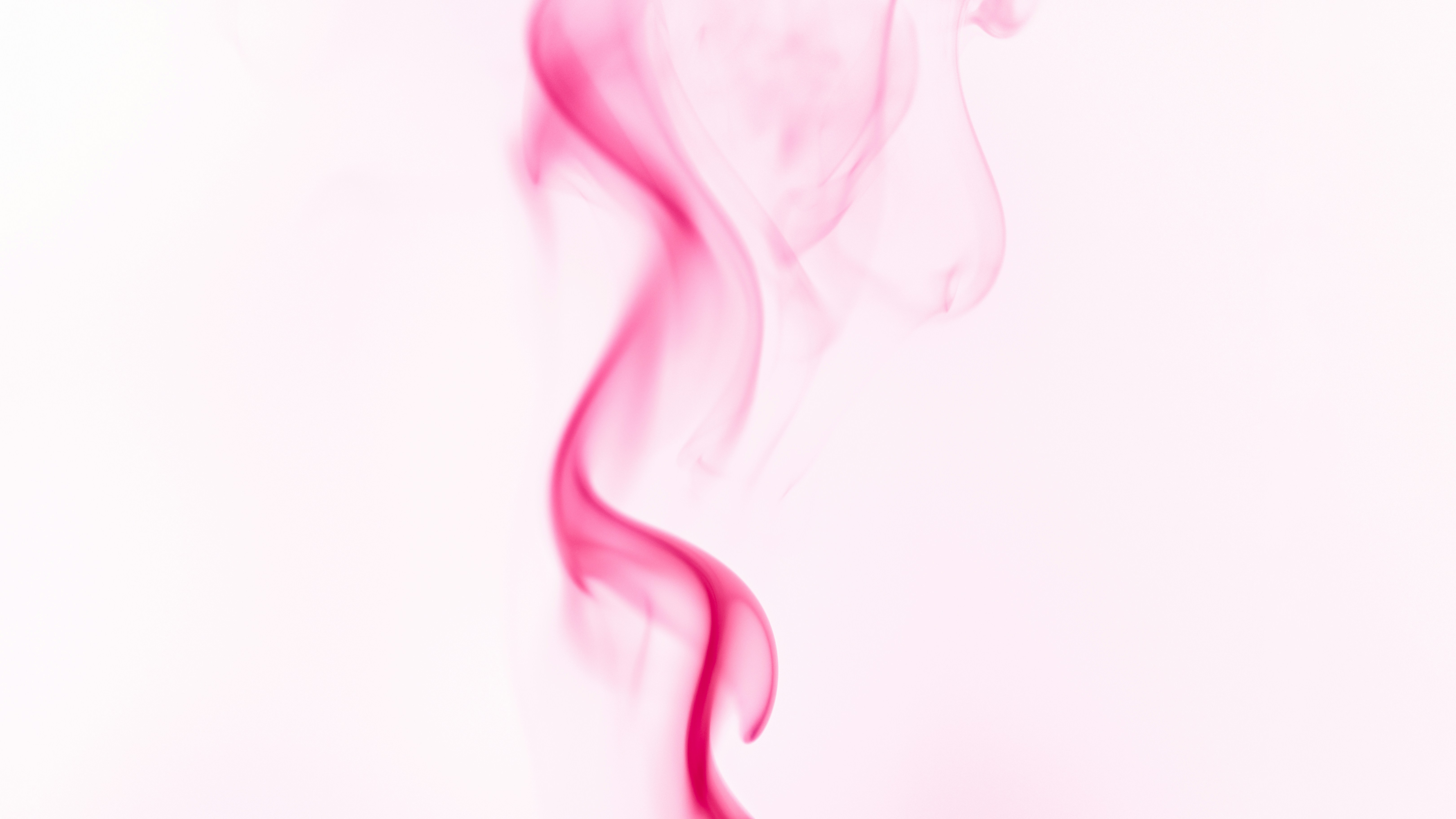 Rosa Rauch Hintergründe