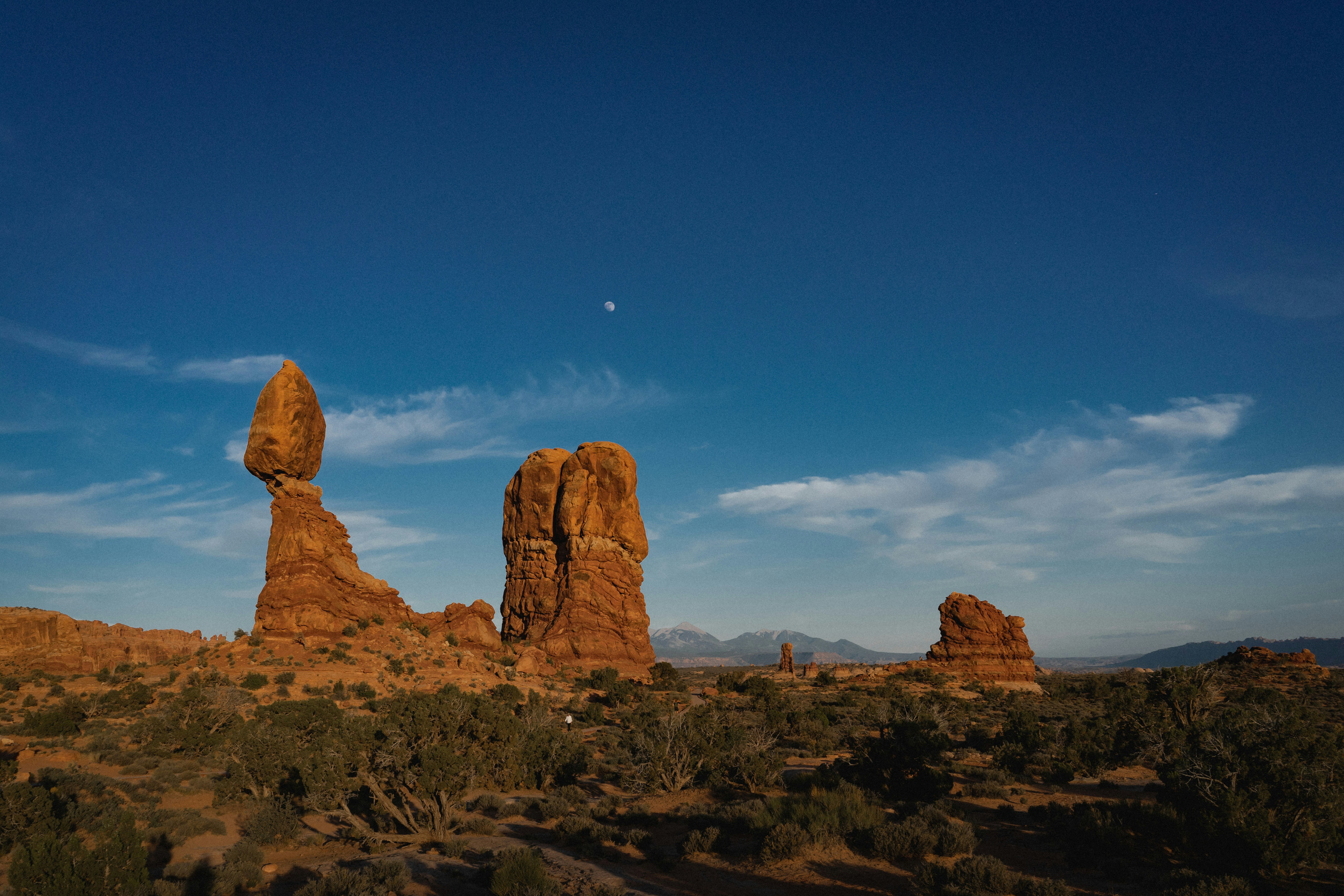 Photo by Fabrizio Coco with Sony Alpha 7 II