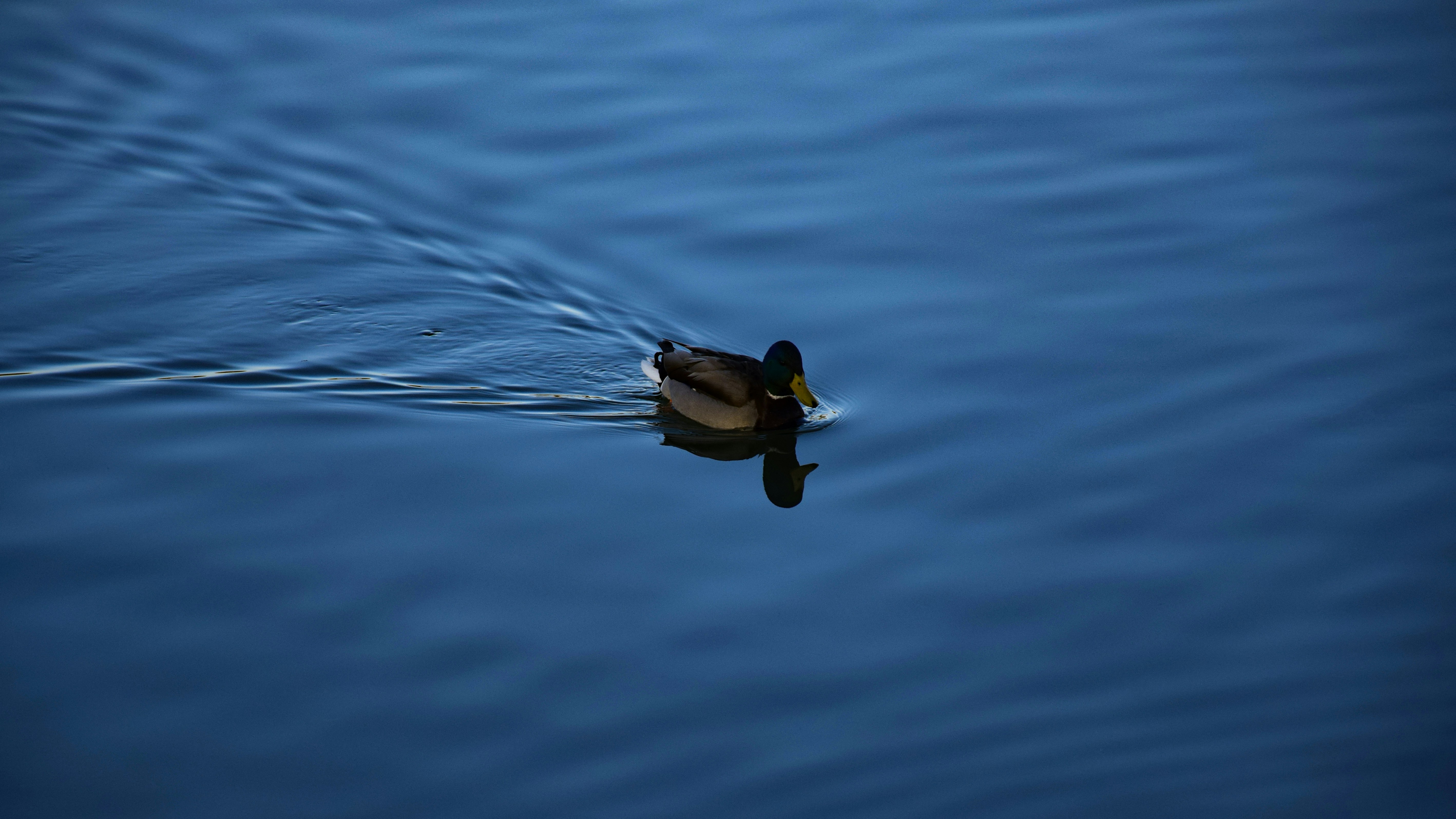 Photo by yue lu with Nikon D5300