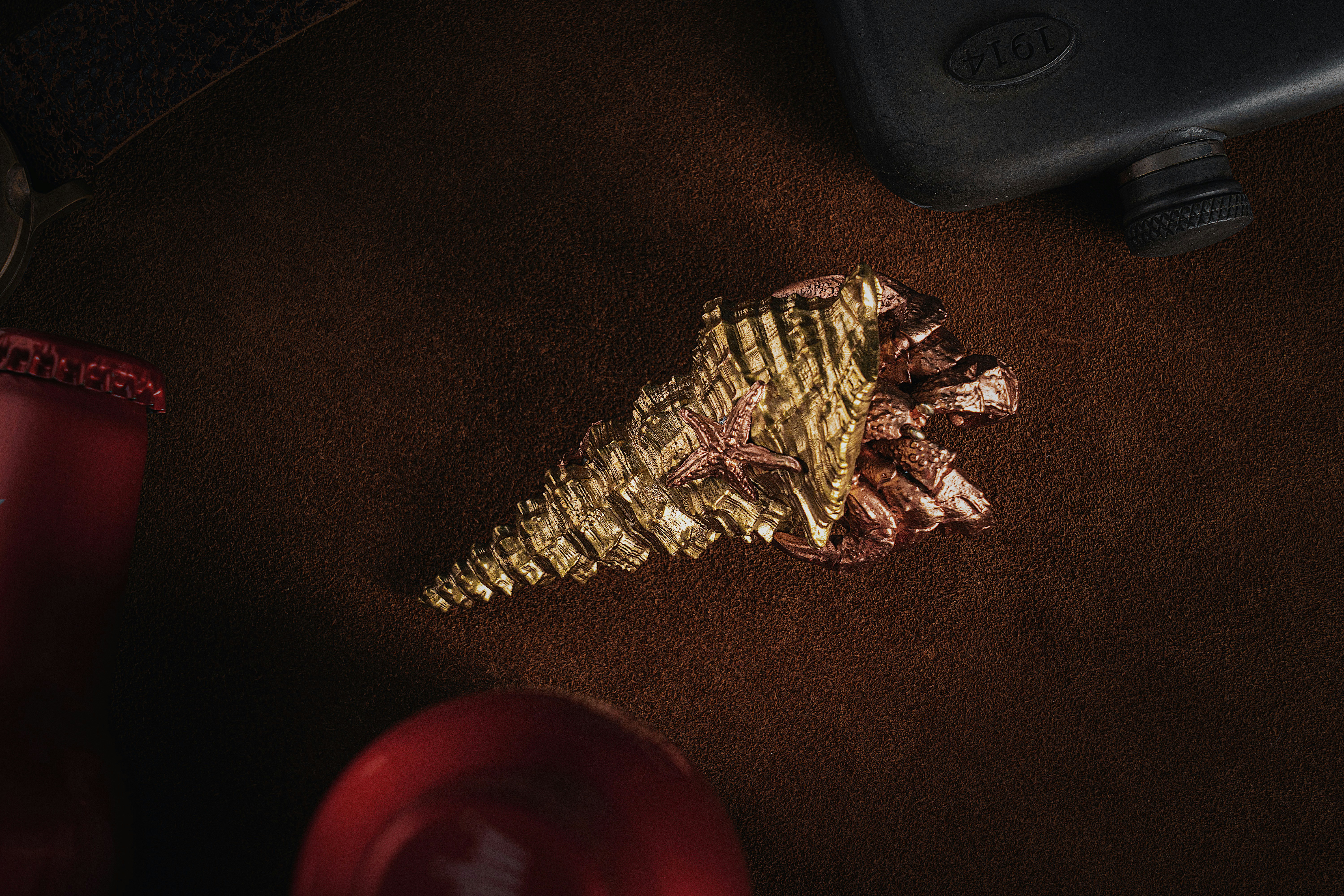 Conch Under Desk Light: A Quiet Shell on Brown Velvet
