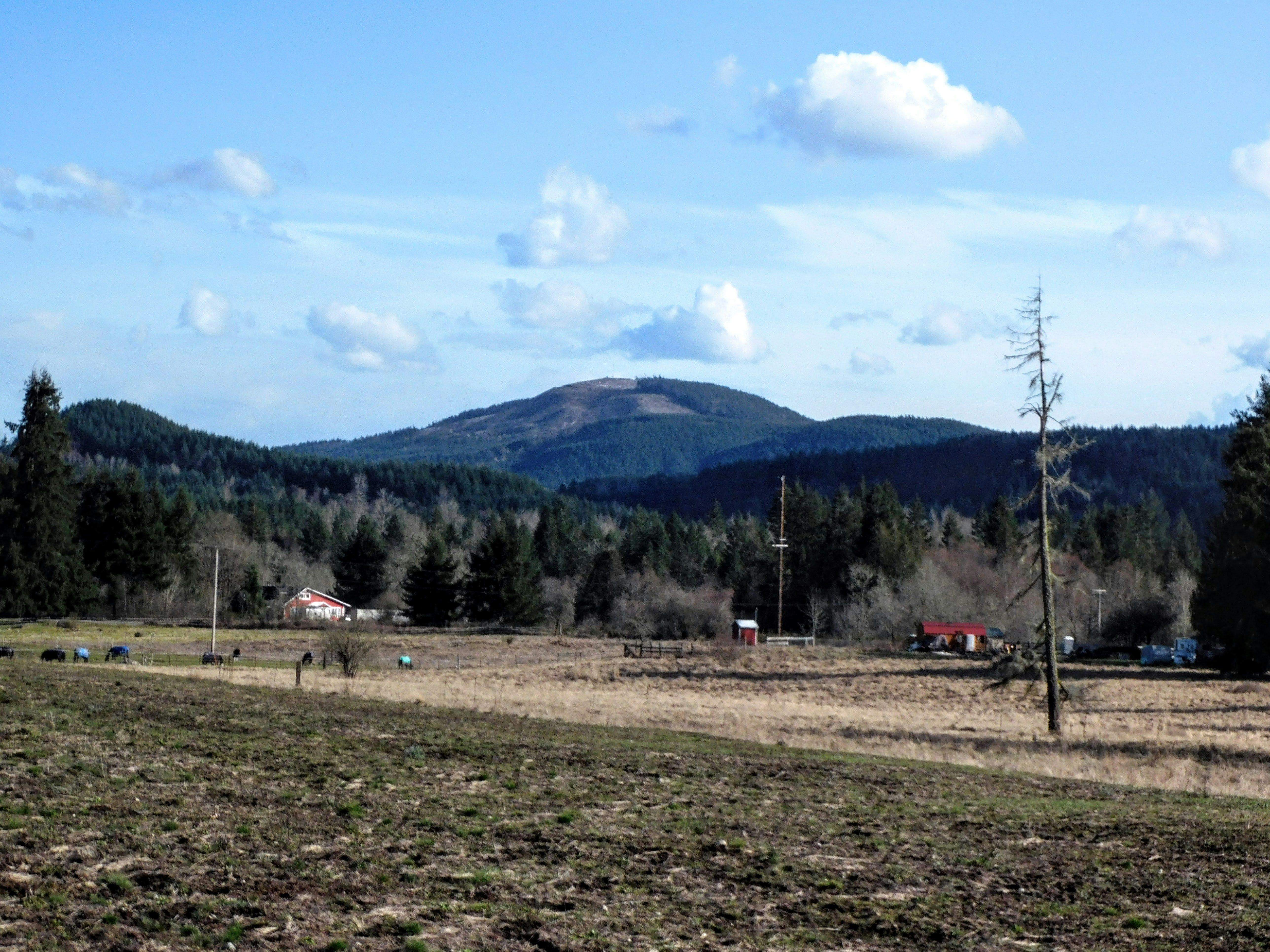 Vast rural landscape showing a distant dome-shaped hill, scattered farm buildings, and a lone tree beneath a bright blue sky.