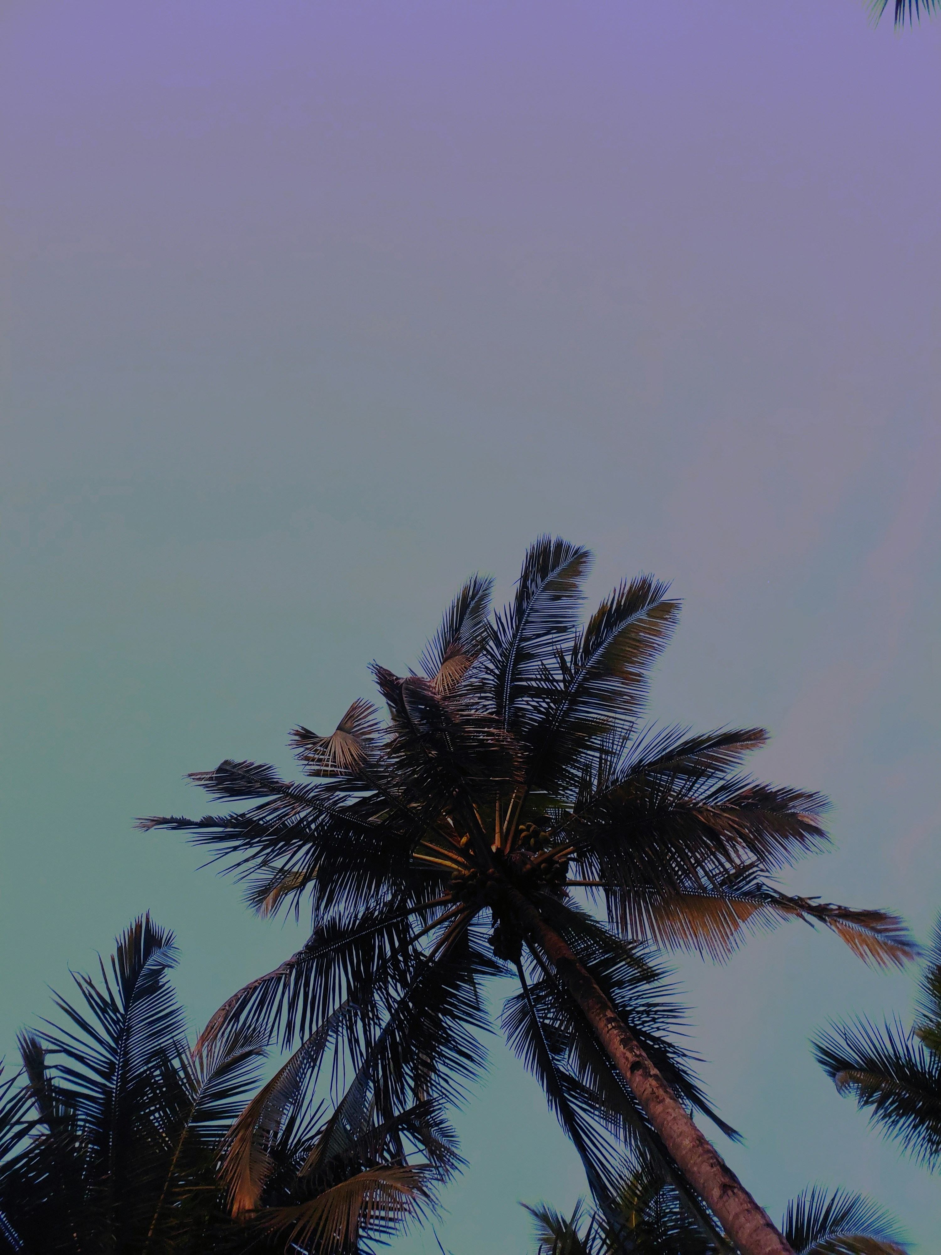 500+ Beautiful Things Pictures | Download Free Images on Unsplash