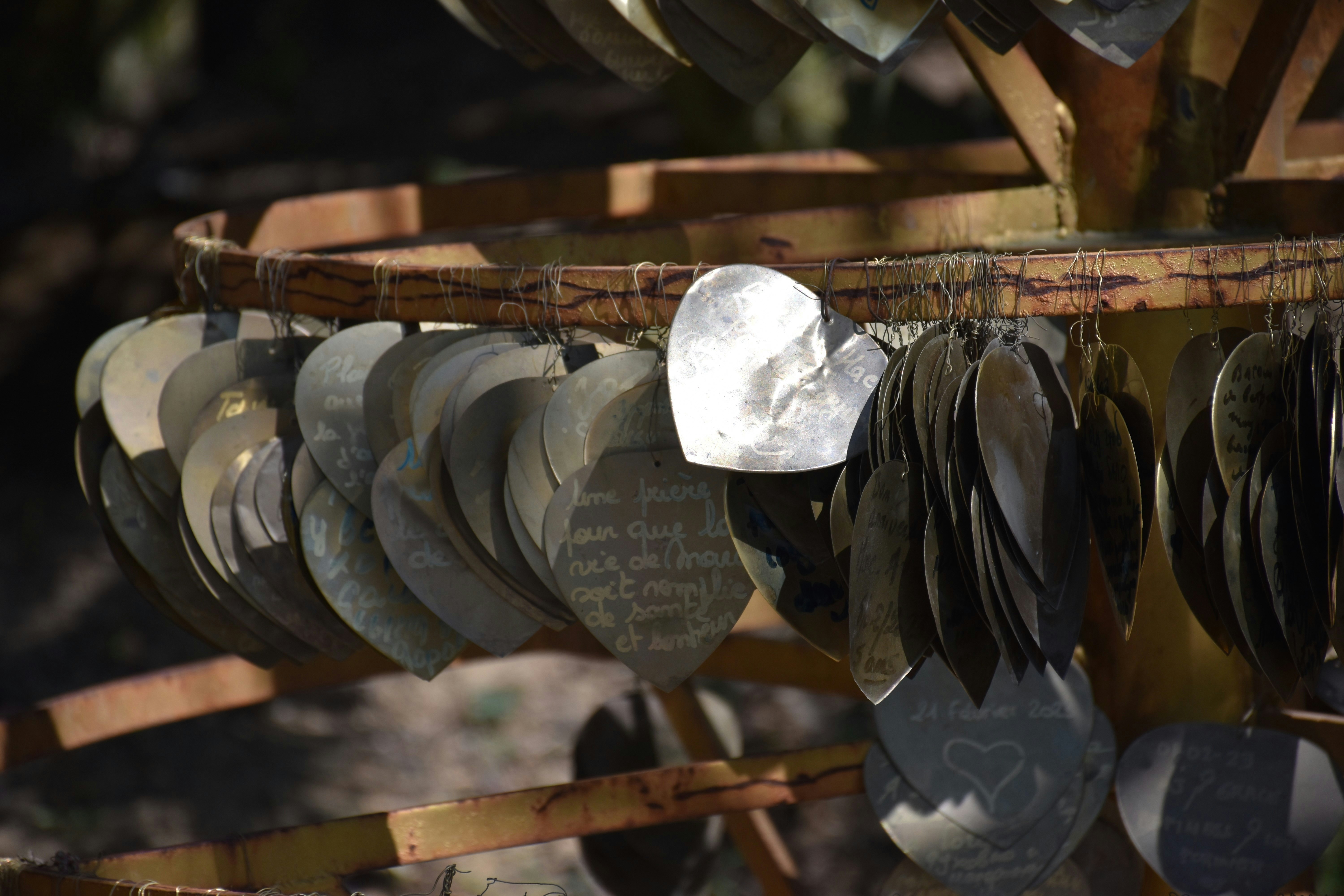 A bunch of metal discs hanging from a tree photo – Free Thailand Image ...