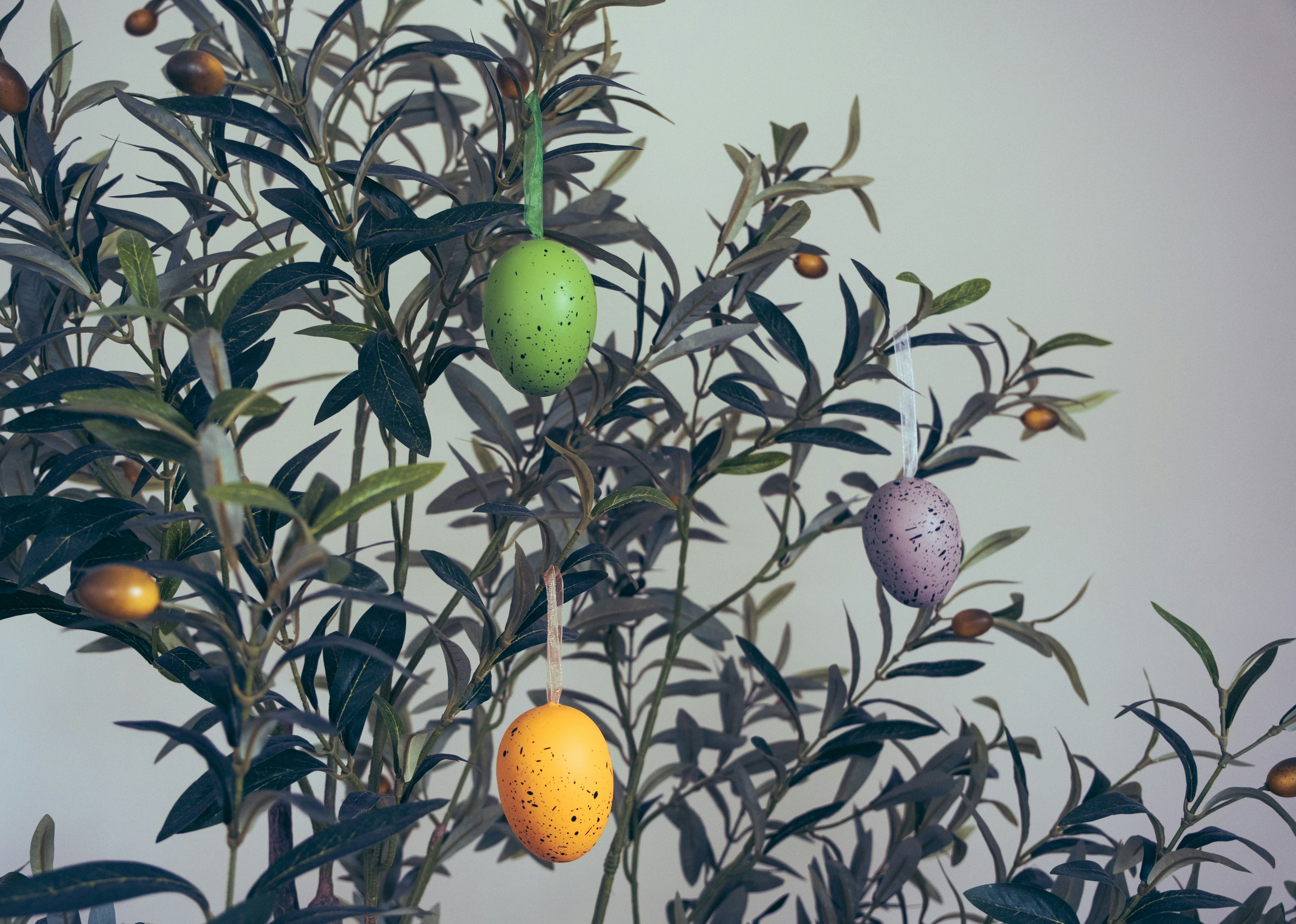 a tree with fruit hanging from it's branches