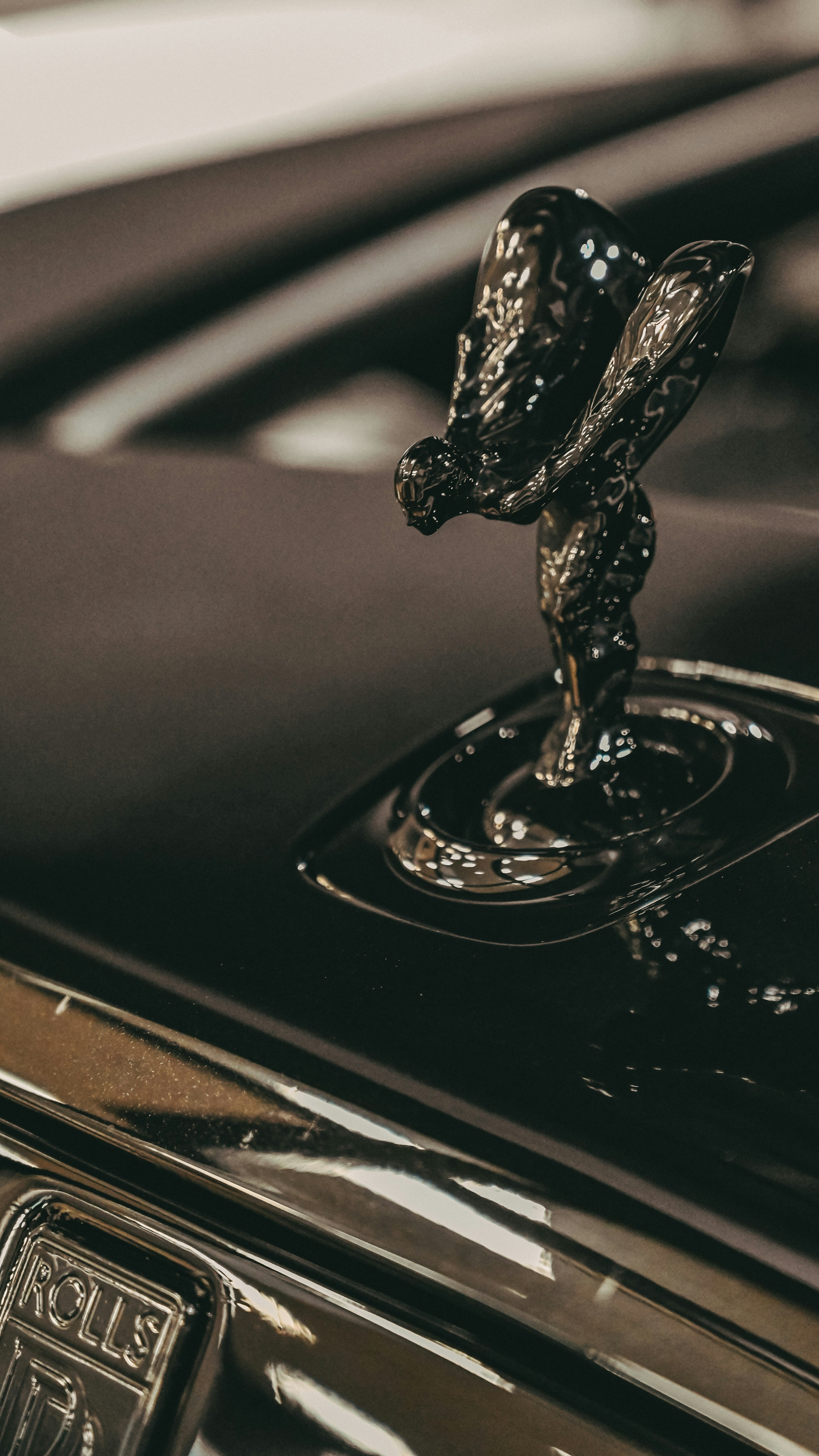 Silhouette of Legend: The Spirit of a Badge on a Velvet Hood