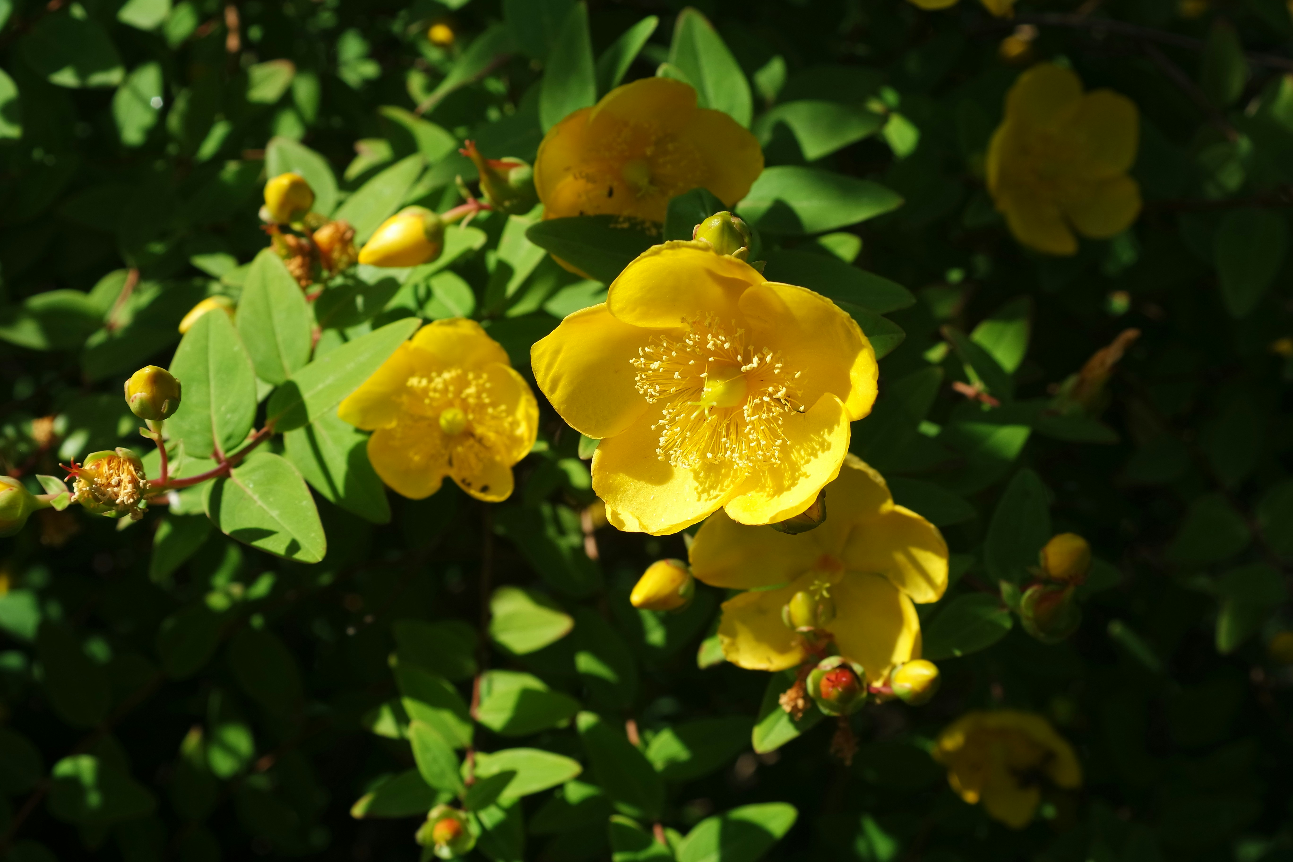 Photo by Aleksei Tertychnyi with Samsung NX3000