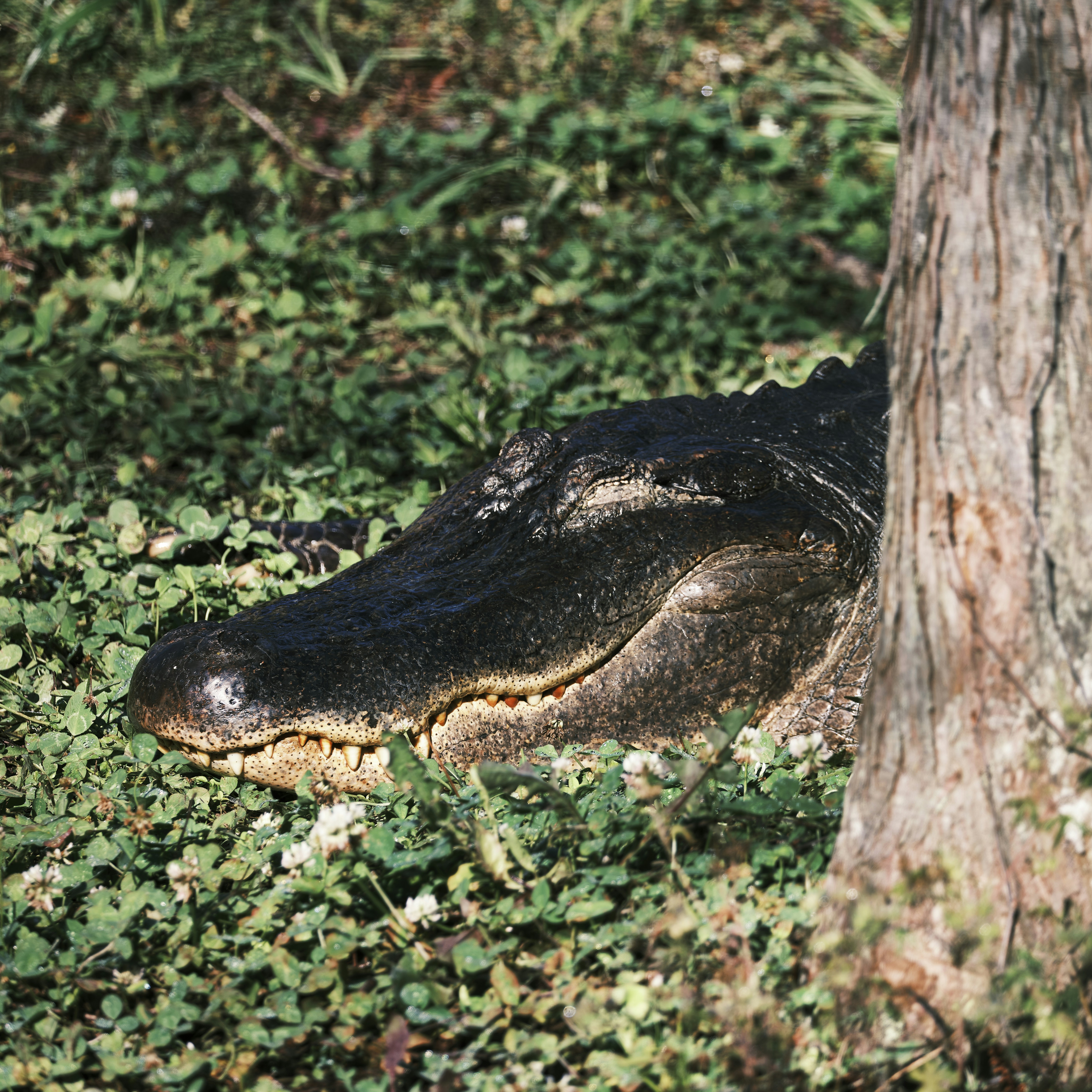 Photo by Huanrui He with Fujifilm GFX50S II