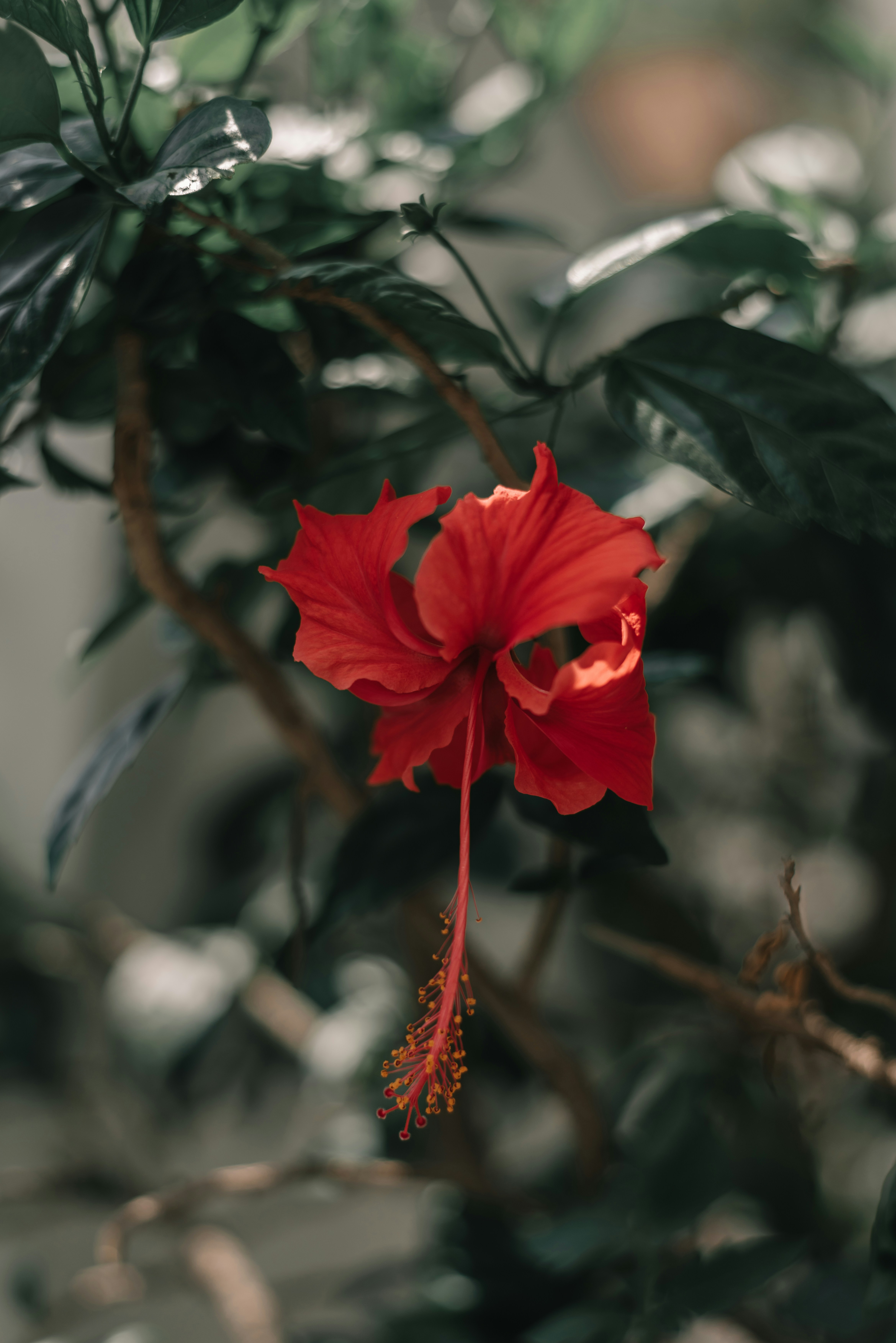 Photoshop Background Pictures | 550+ Free Images on Unsplash