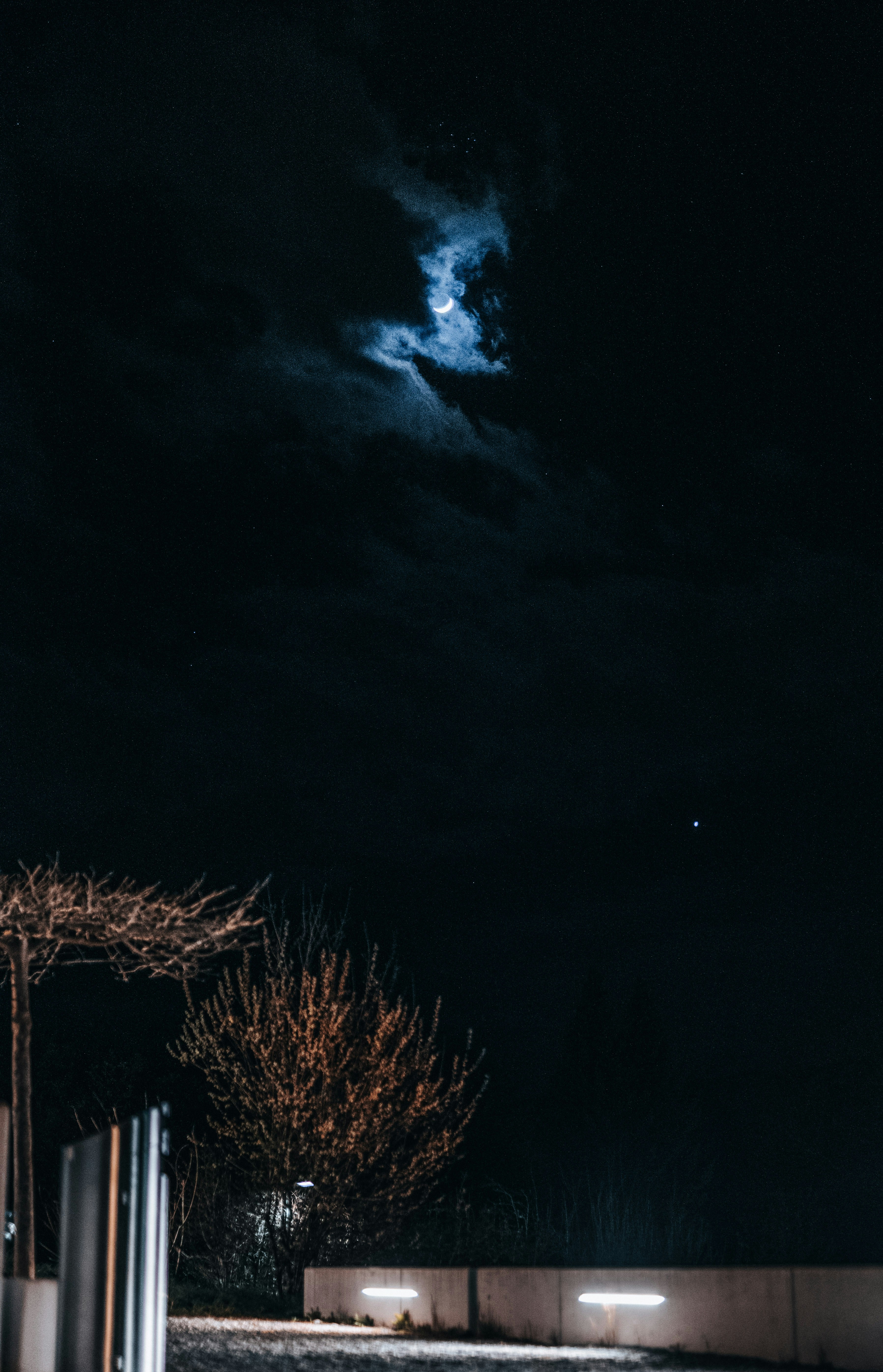 Moonlit Veil Above a Quiet Yard Boundary