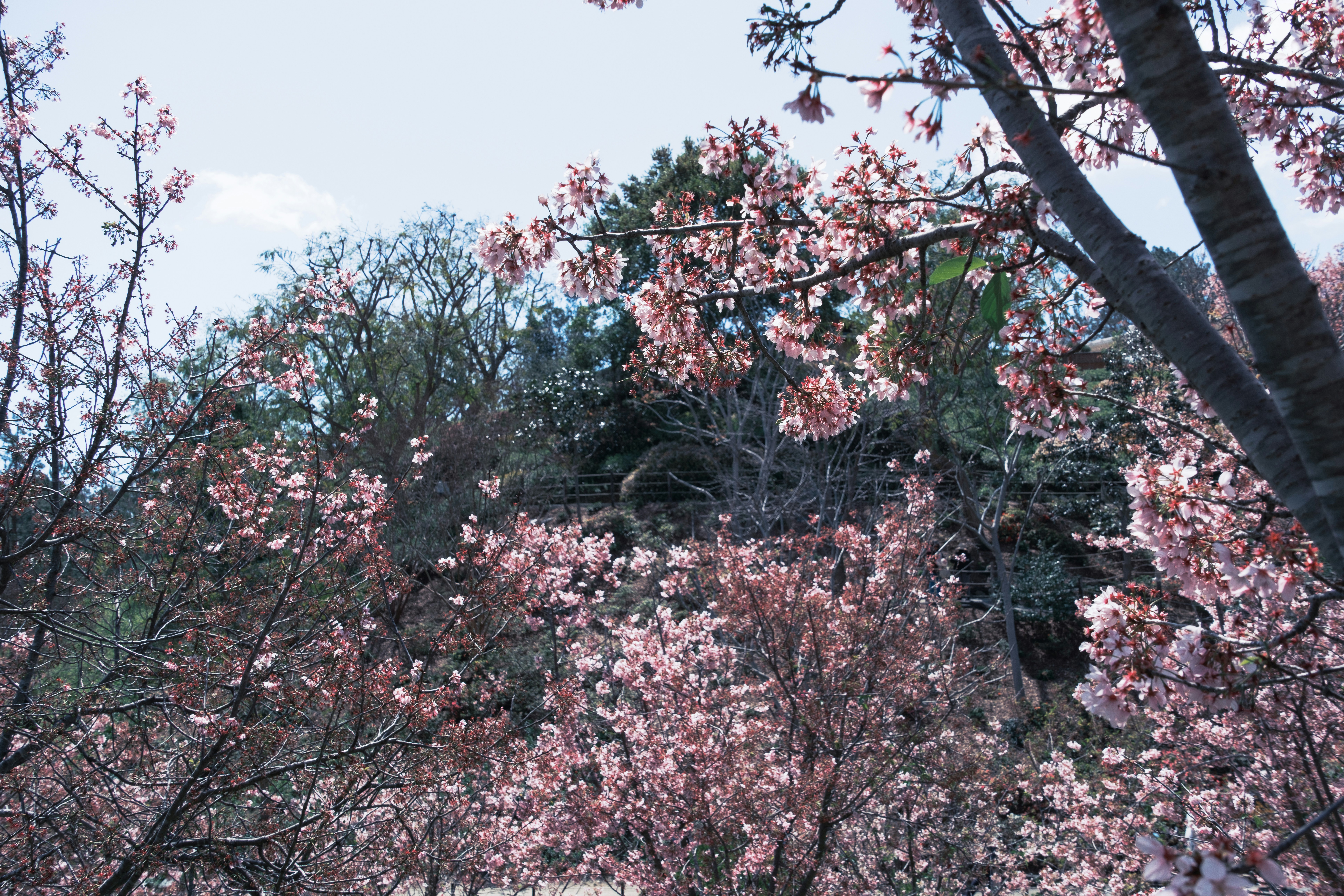 Photo by April Vasquez with Fujifilm X-T5