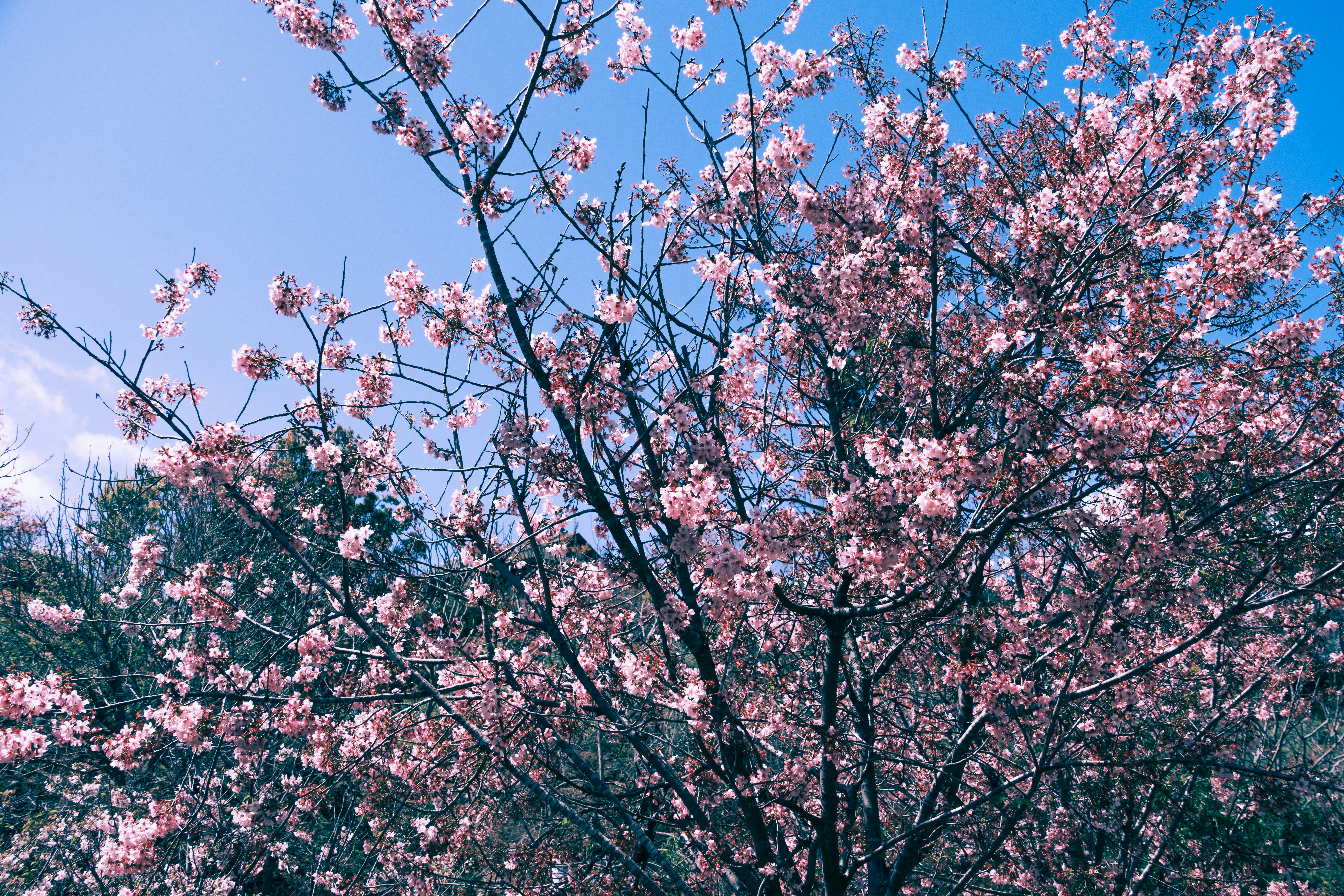 Photo by April Vasquez with Fujifilm X-T5