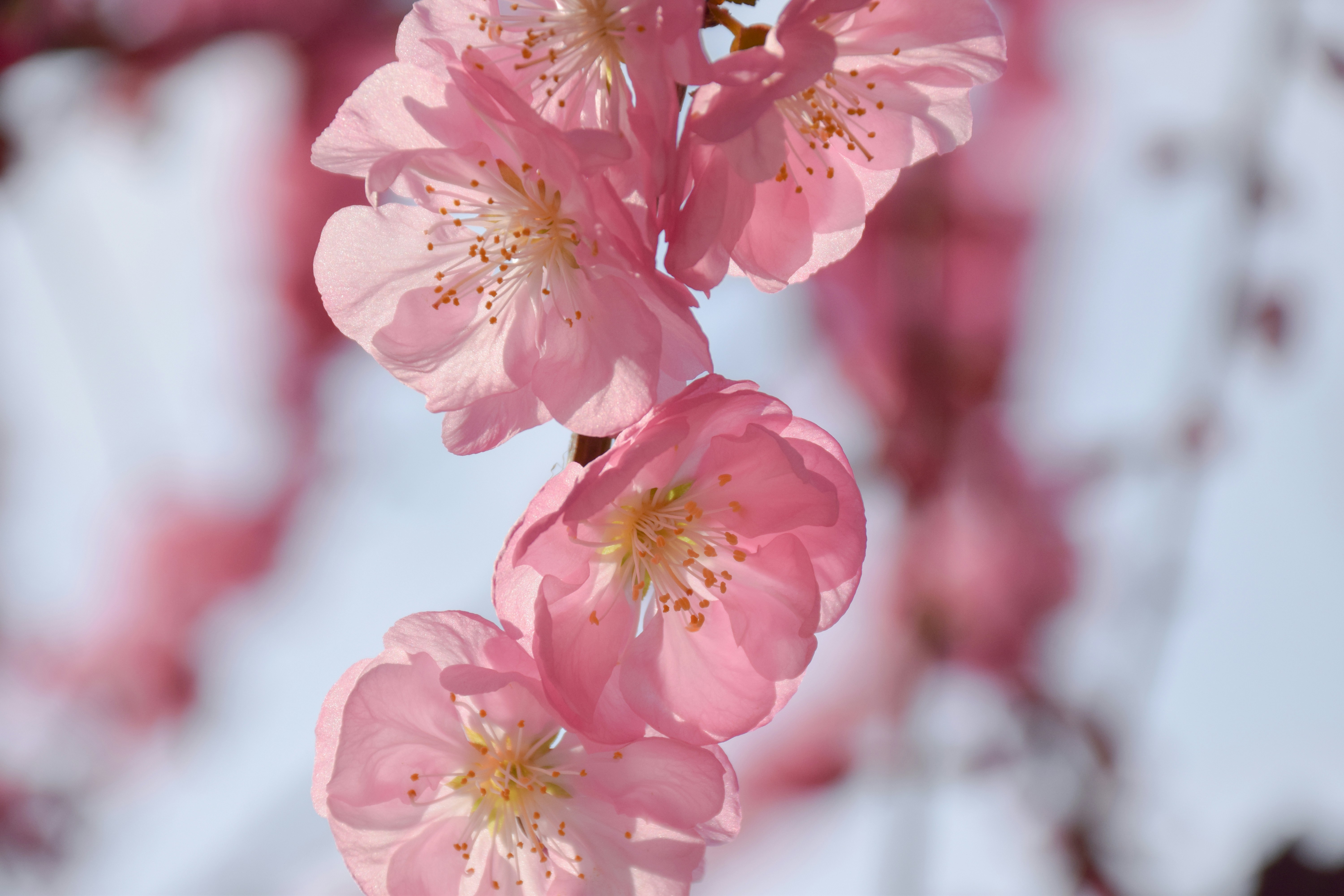 yue lu (@katykris) | Komunitas Foto Unsplash