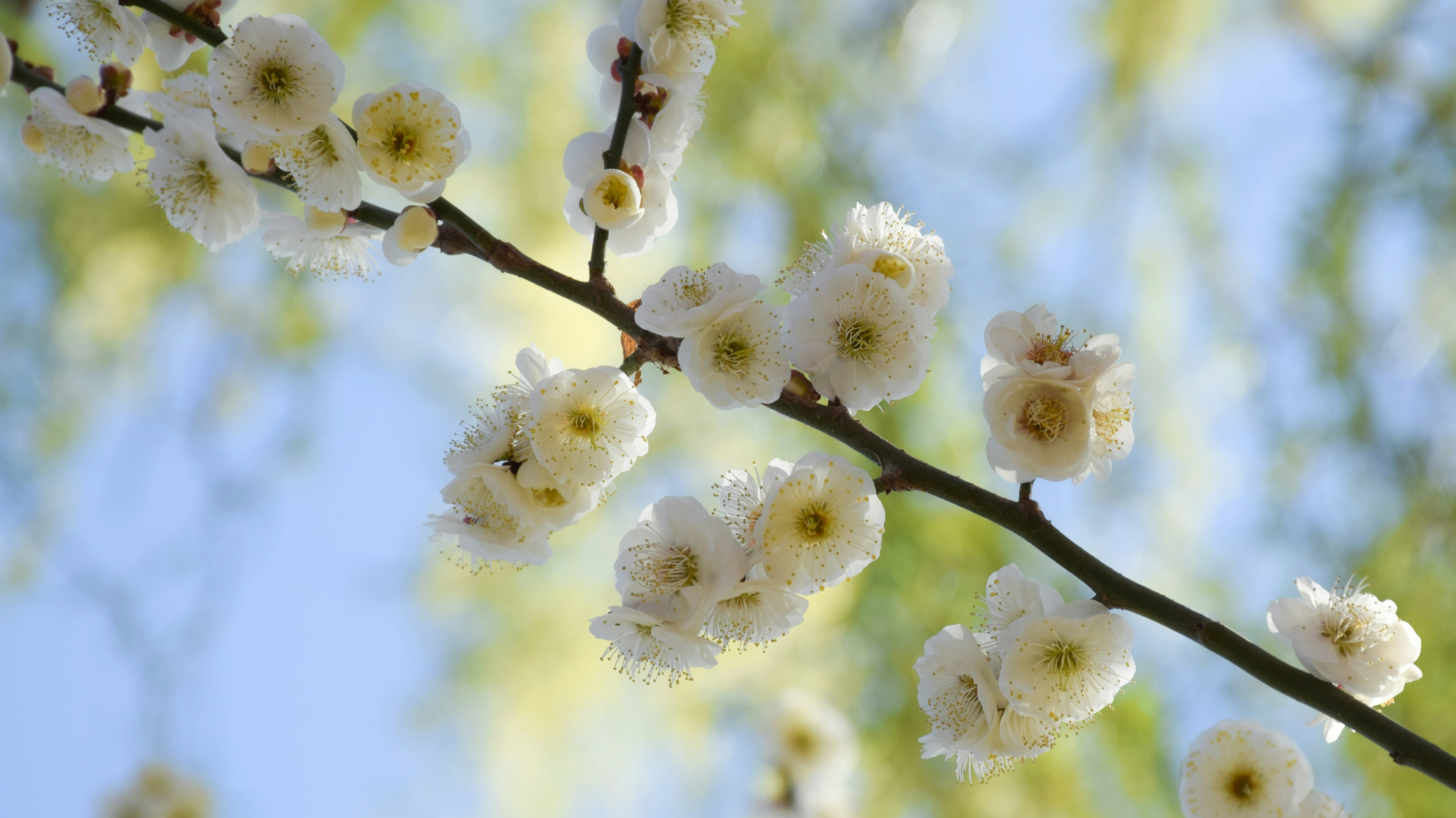 yue lu (@katykris) | Komunitas Foto Unsplash