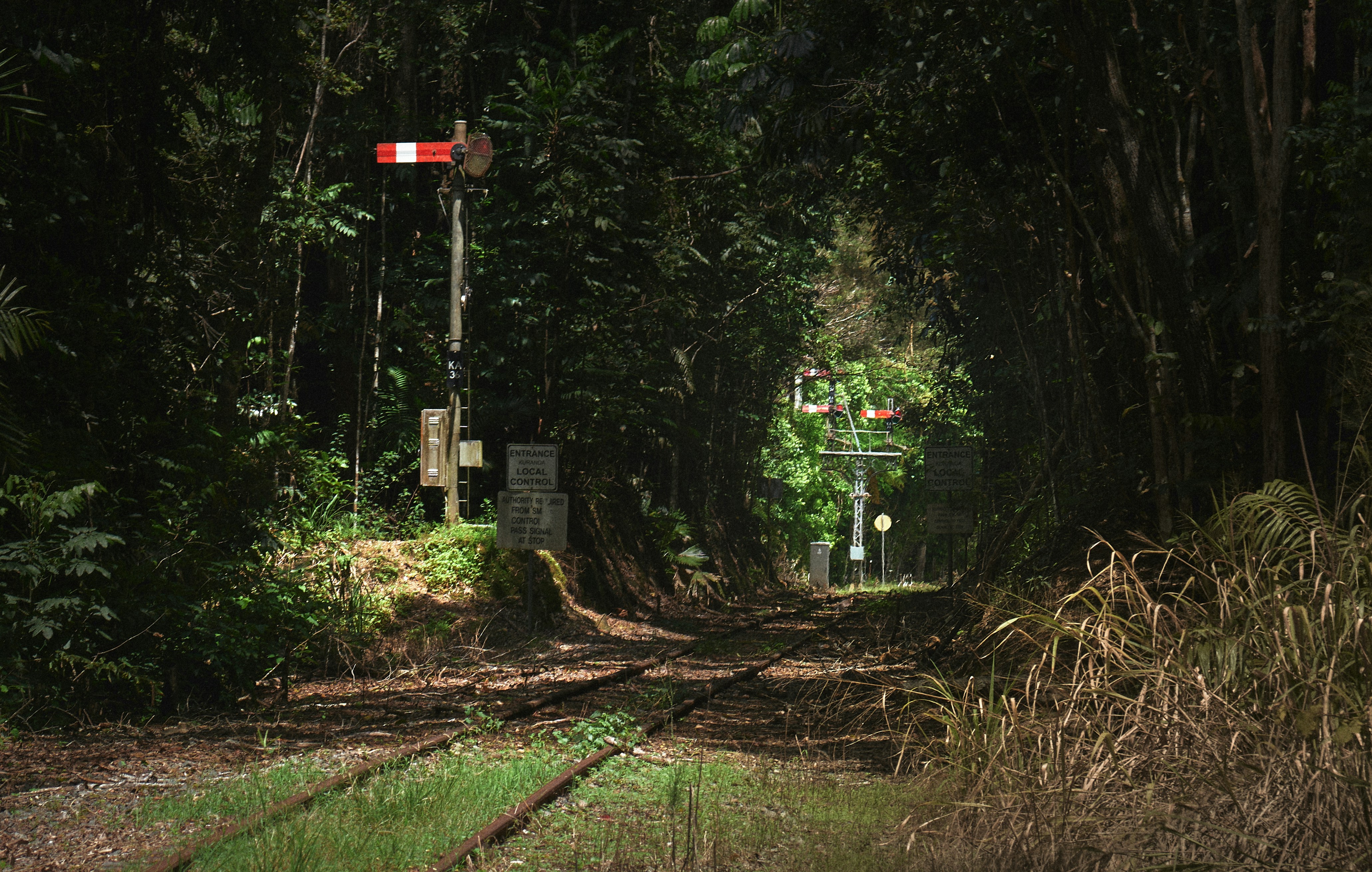 Echoes of the Forgotten Railway
